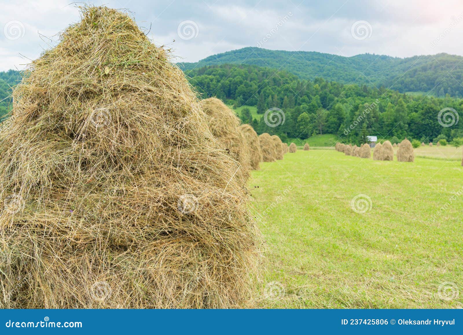 Many Haystacks in a Mountain Village. before a Thunderstorm Stock Photo ...