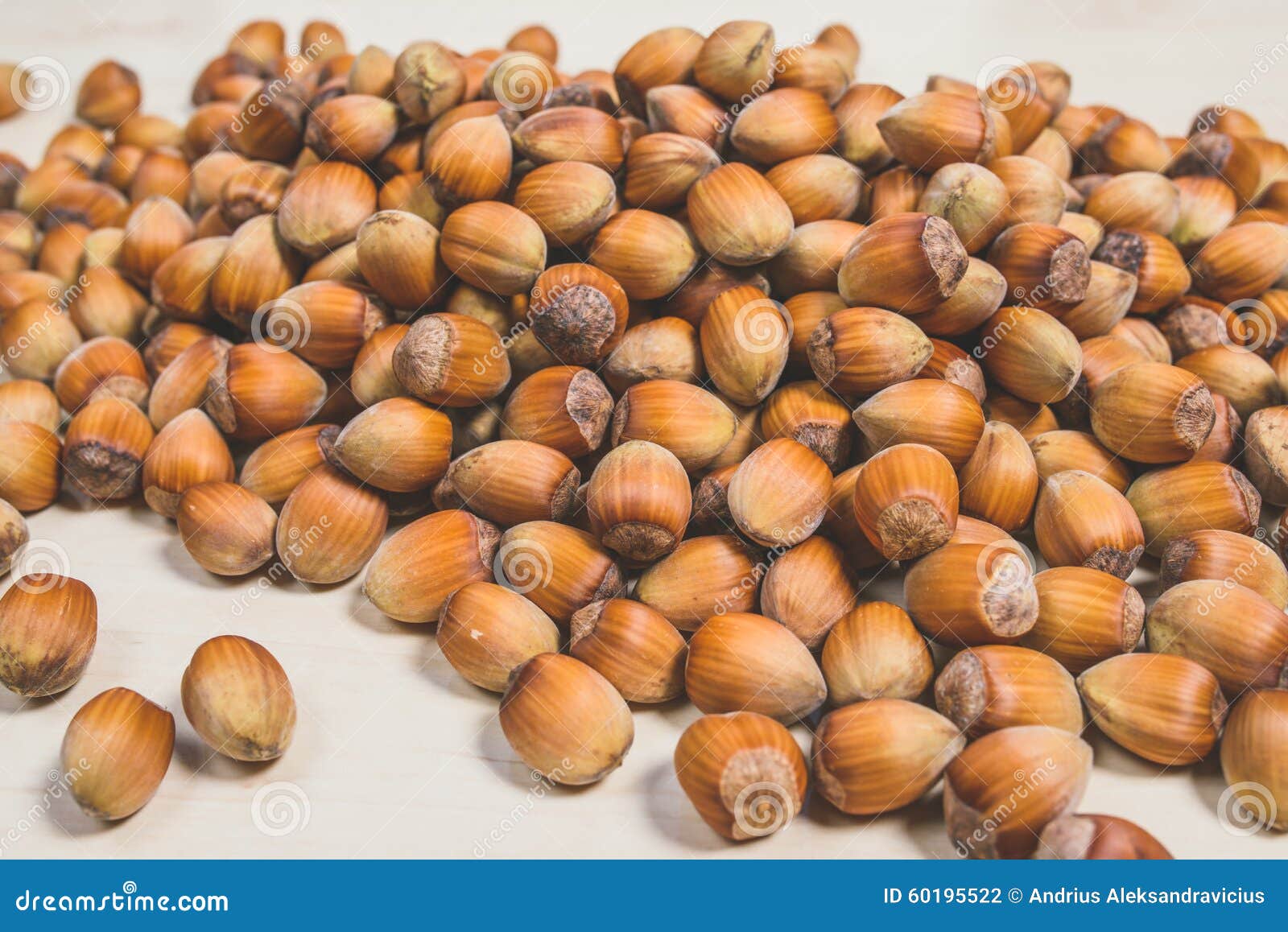 Many hazel nuts stock photo. Image of hazelnut, healthy - 60195522