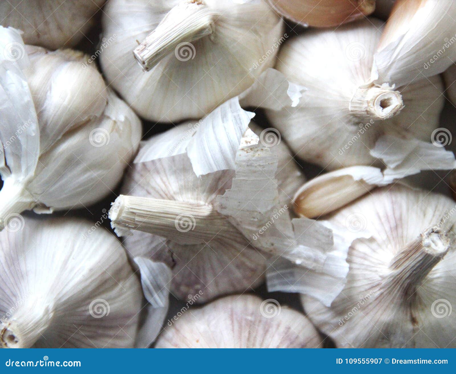 Bulk Garlic Gloves in Pattern Stock Image - Image of healthy, bunch ...