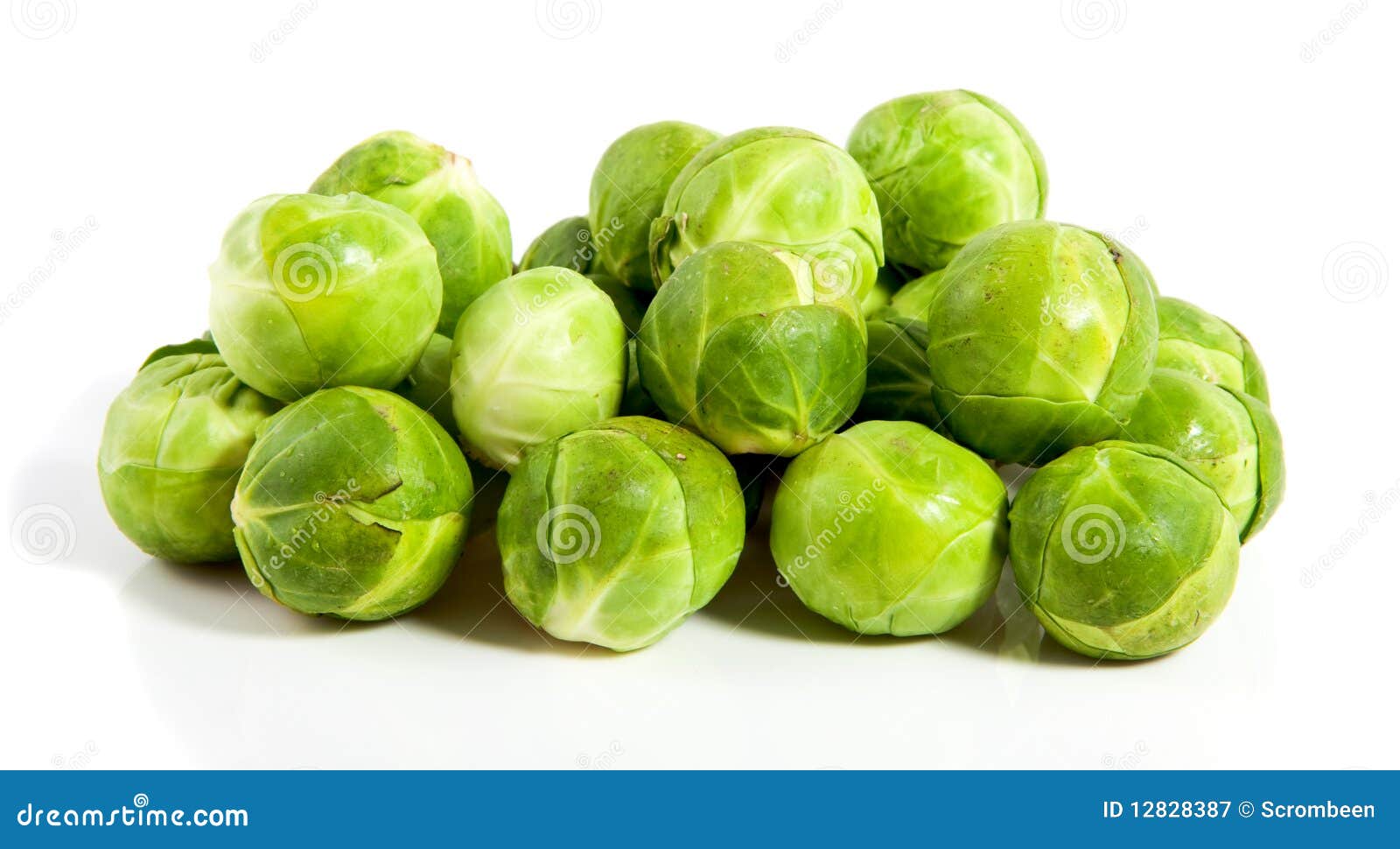 Many healthy sprouts stock image. Image of healthy, sprouts - 12828387