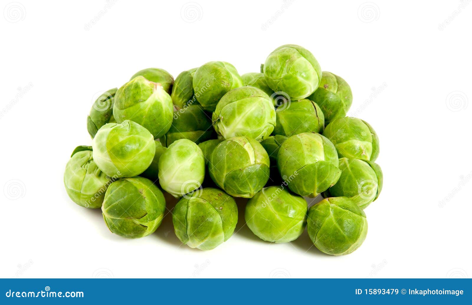 Many healthy sprouts stock image. Image of greengrocer - 15893479