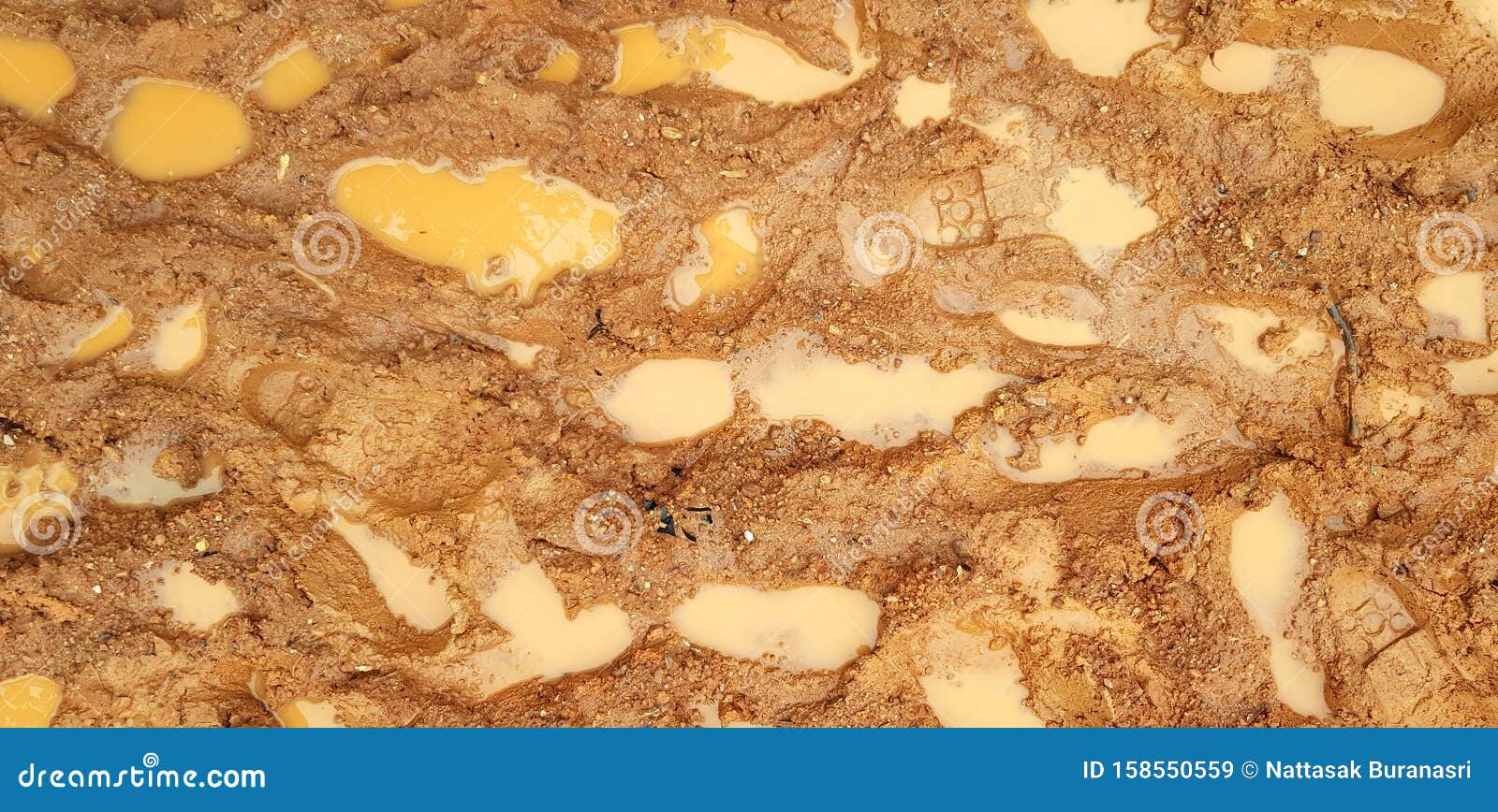 Footprint on ground stock image. Image of pattern, design - 158550559