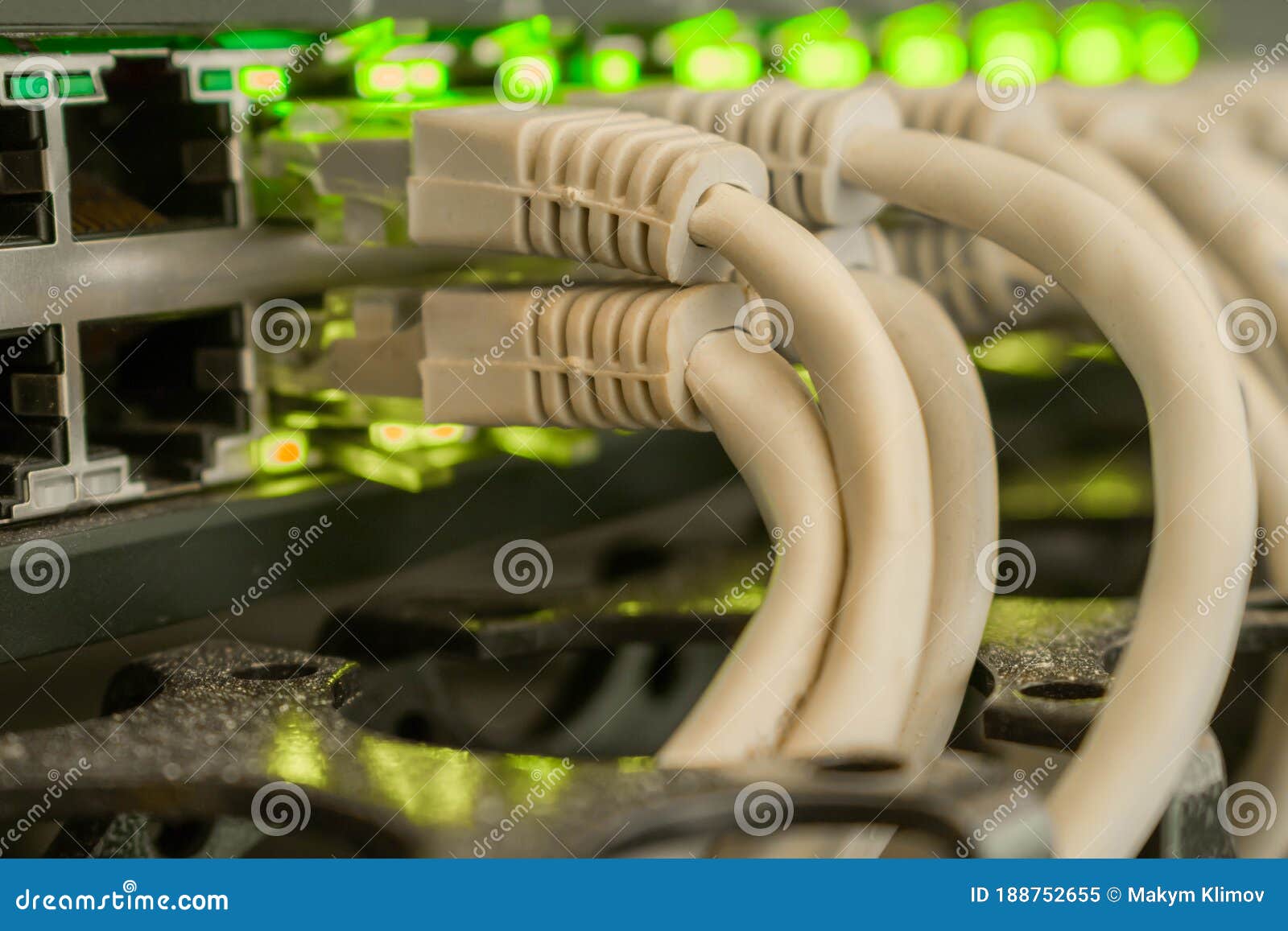 Many Internet Cables are in the Server Room of the Data Center. Bunch ...