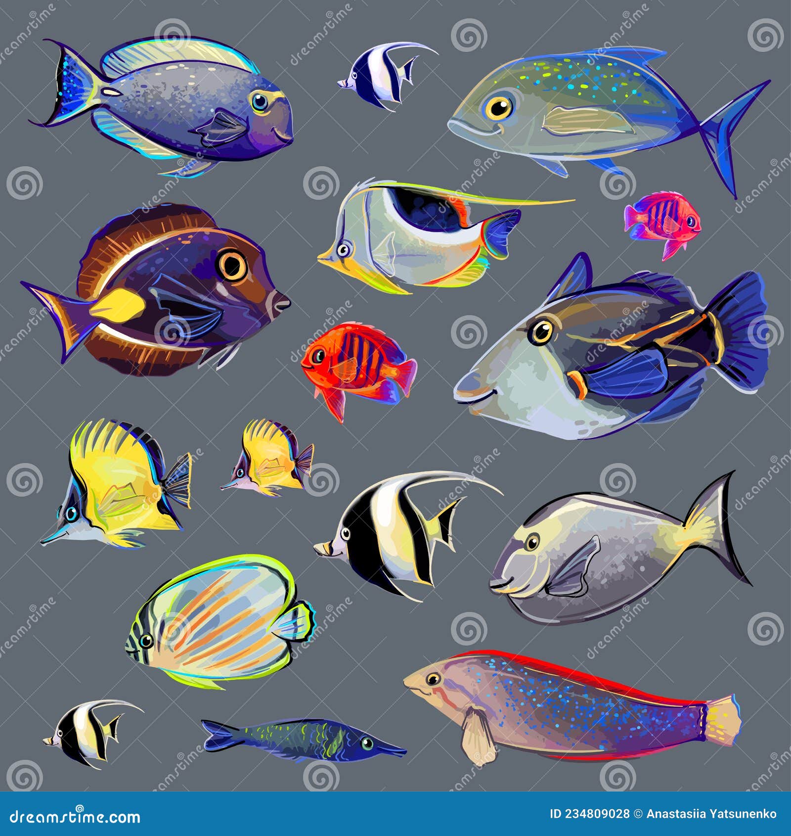 Many Isolated, Amazing, Bright Fish of Different Colors on a Gray ...