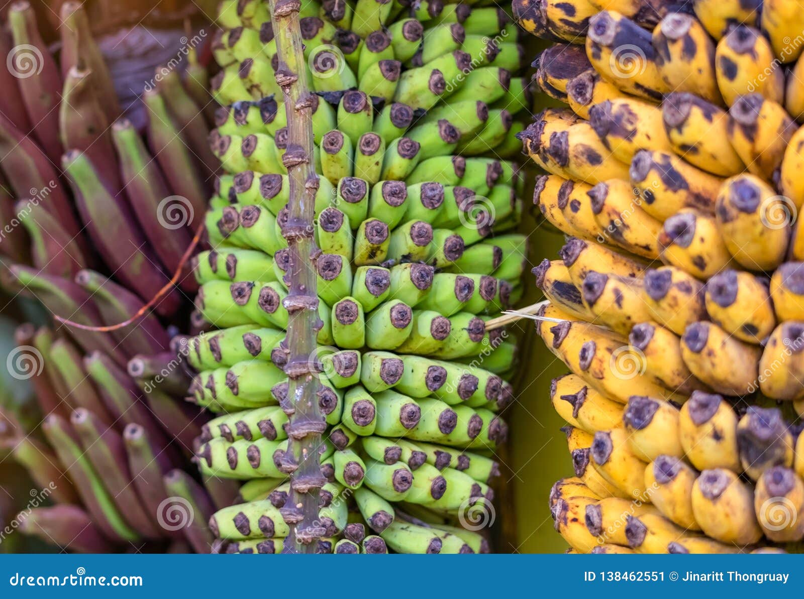Two Kind Of Bananas - Yellow Color- Kolikuttu And Green Color-anamalu ...