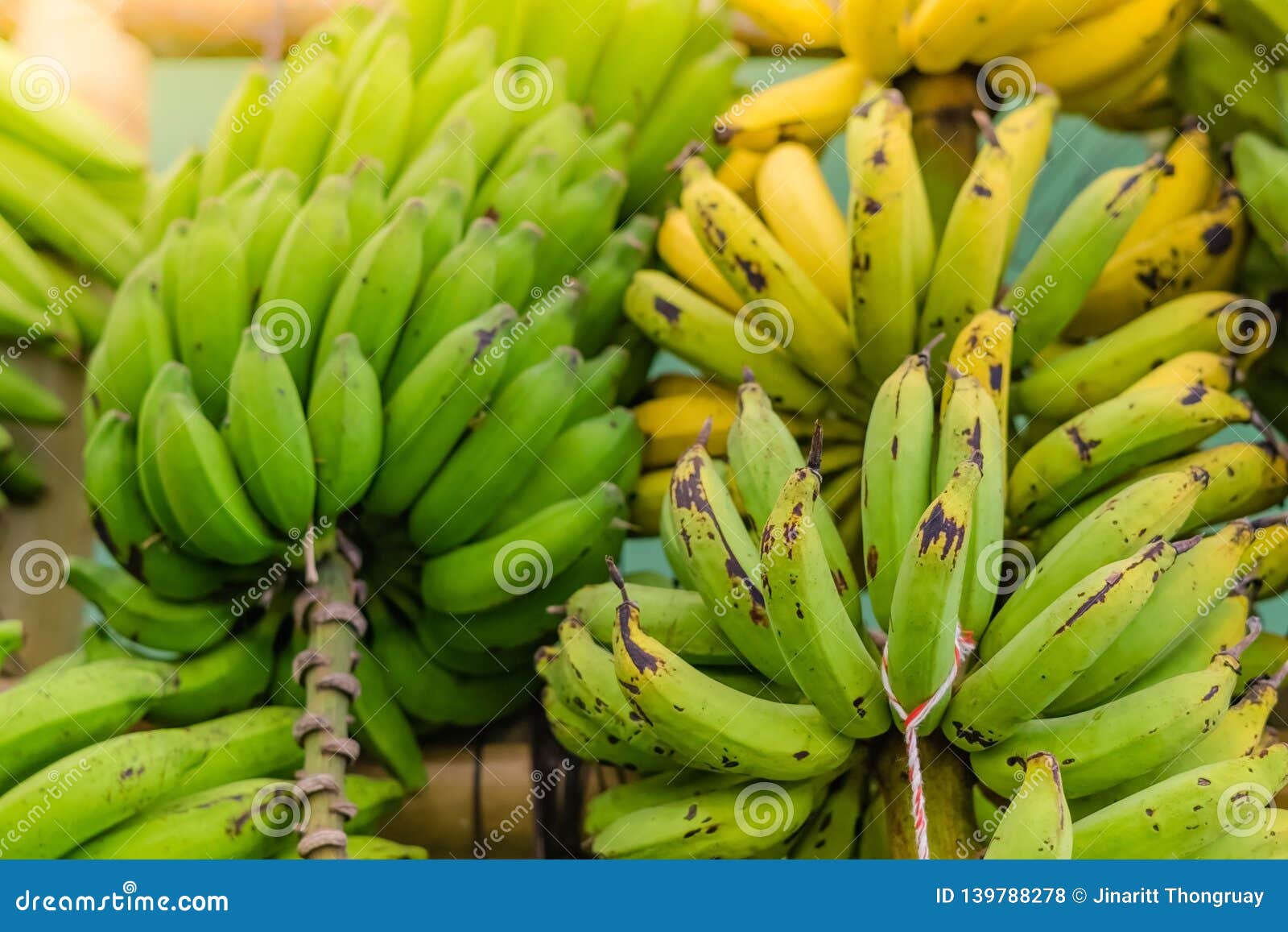 Two Kind Of Bananas - Yellow Color- Kolikuttu And Green Color-anamalu ...