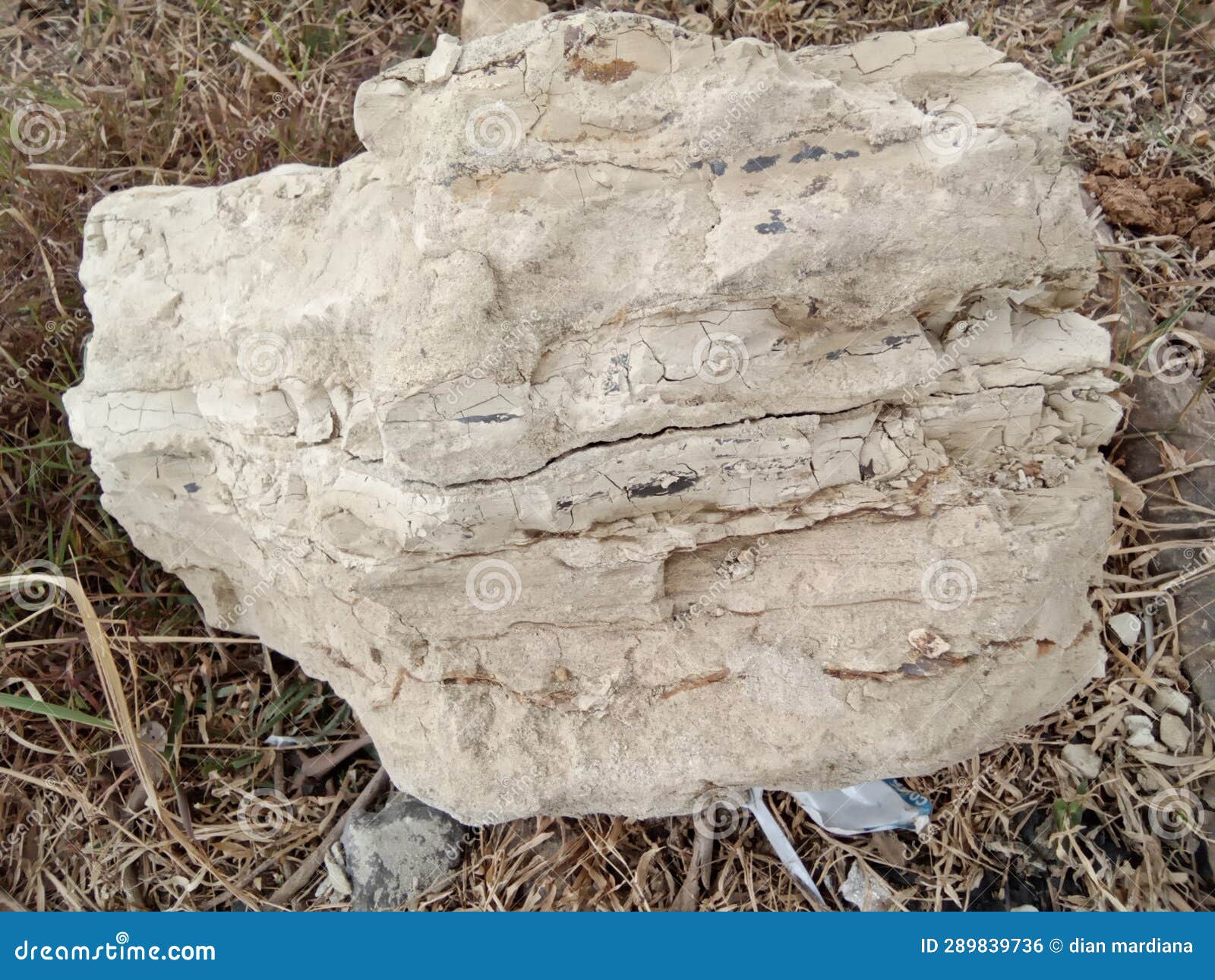 Many Layers of Ancient Soil are Petrified Stock Photo - Image of ...