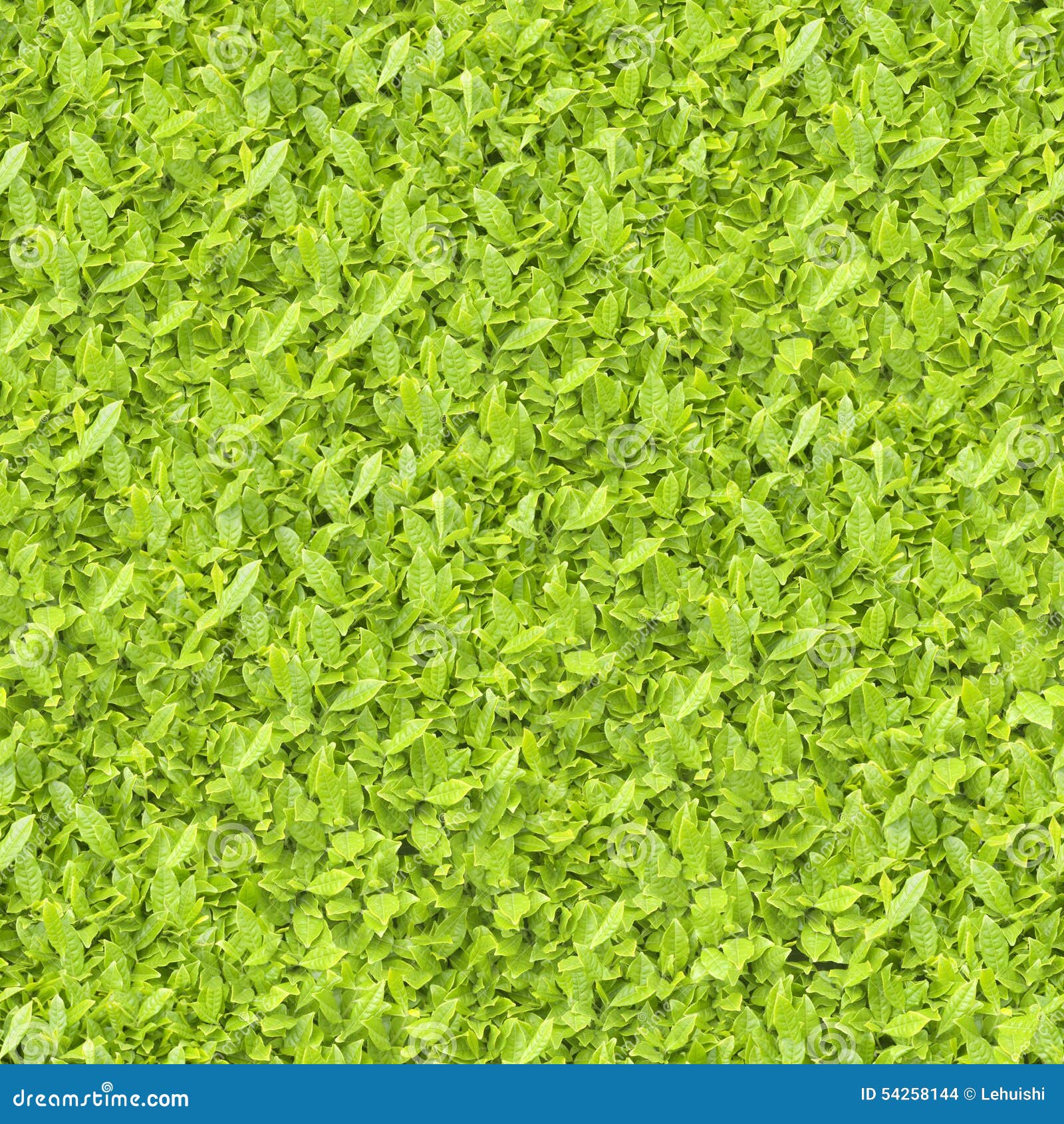 Many Leaves Seamless Continuous Background by Over-sized Photo Stock ...