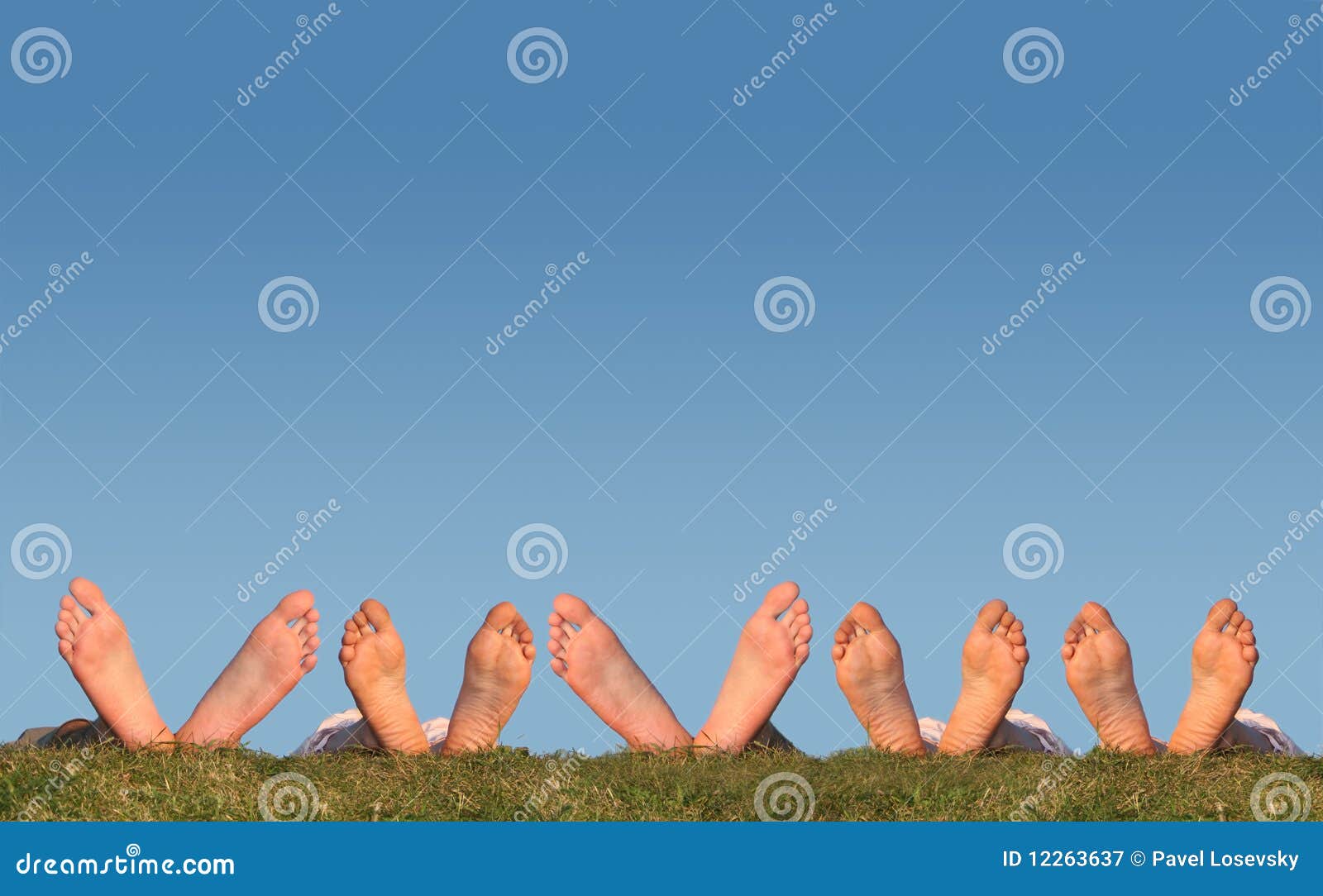 Many legs on grass collage stock image. Image of outdoors - 12263637