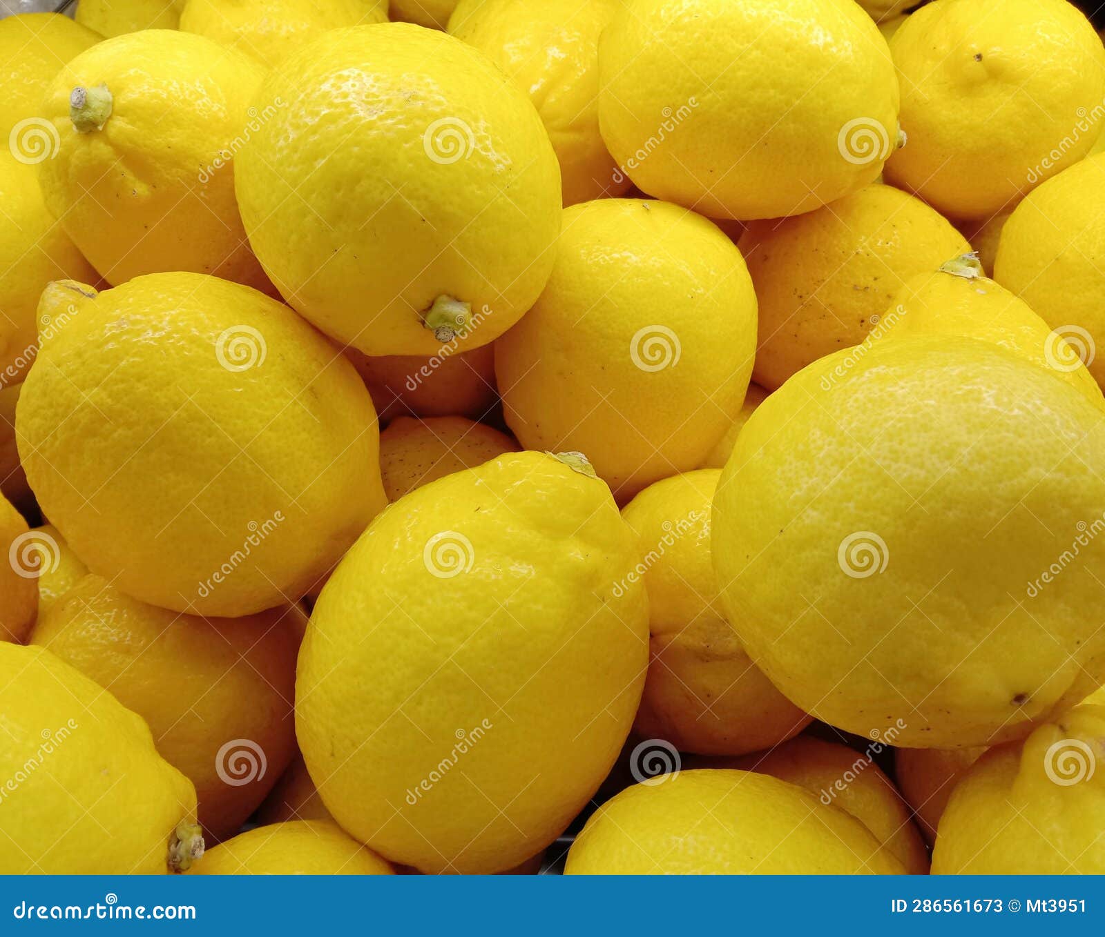 Many Lemon Colour Full and Sour Stock Image - Image of lemon, colour ...