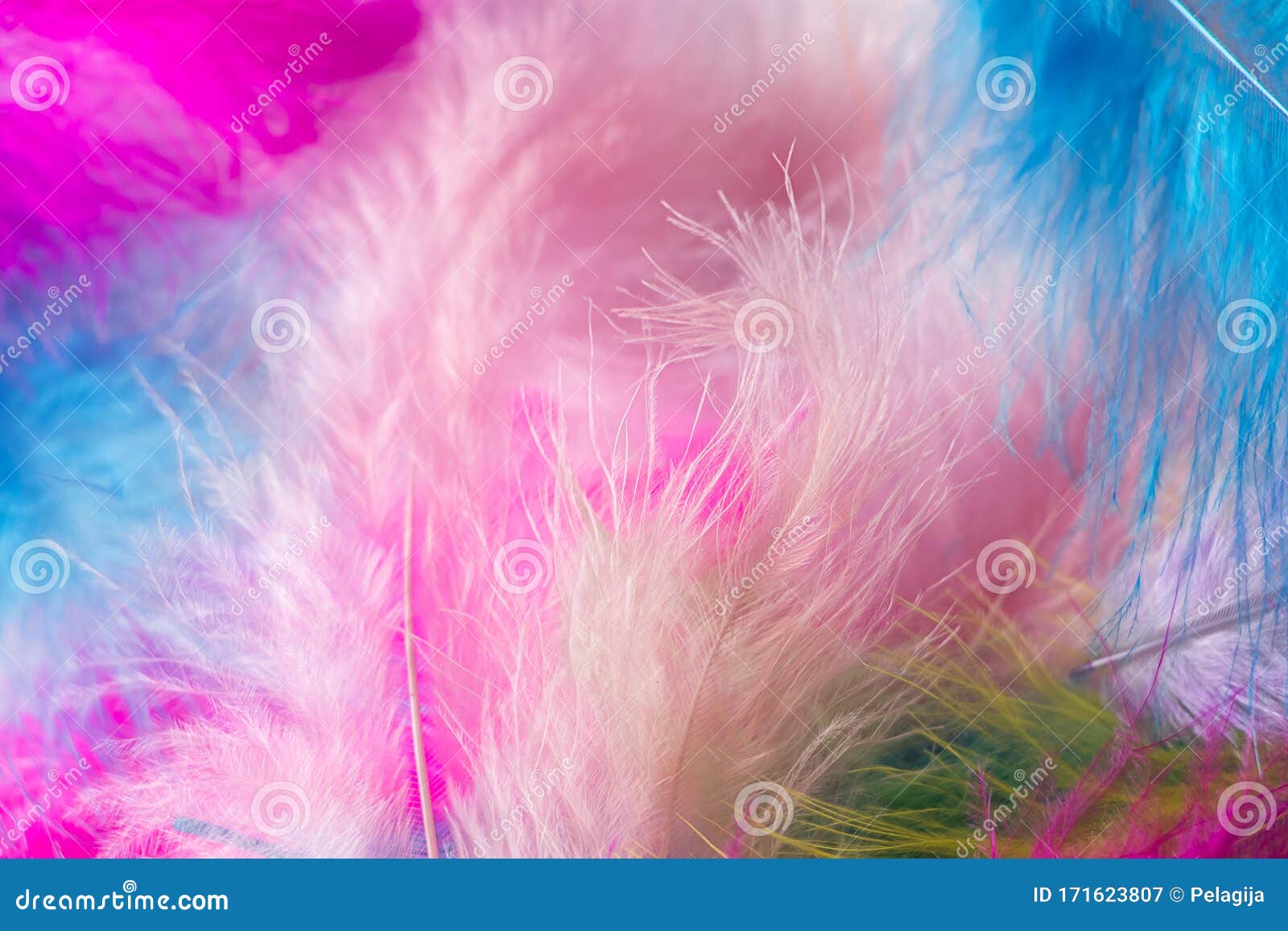 Many Light Multi-colored Feathers for a Carnival Costume Stock Image ...