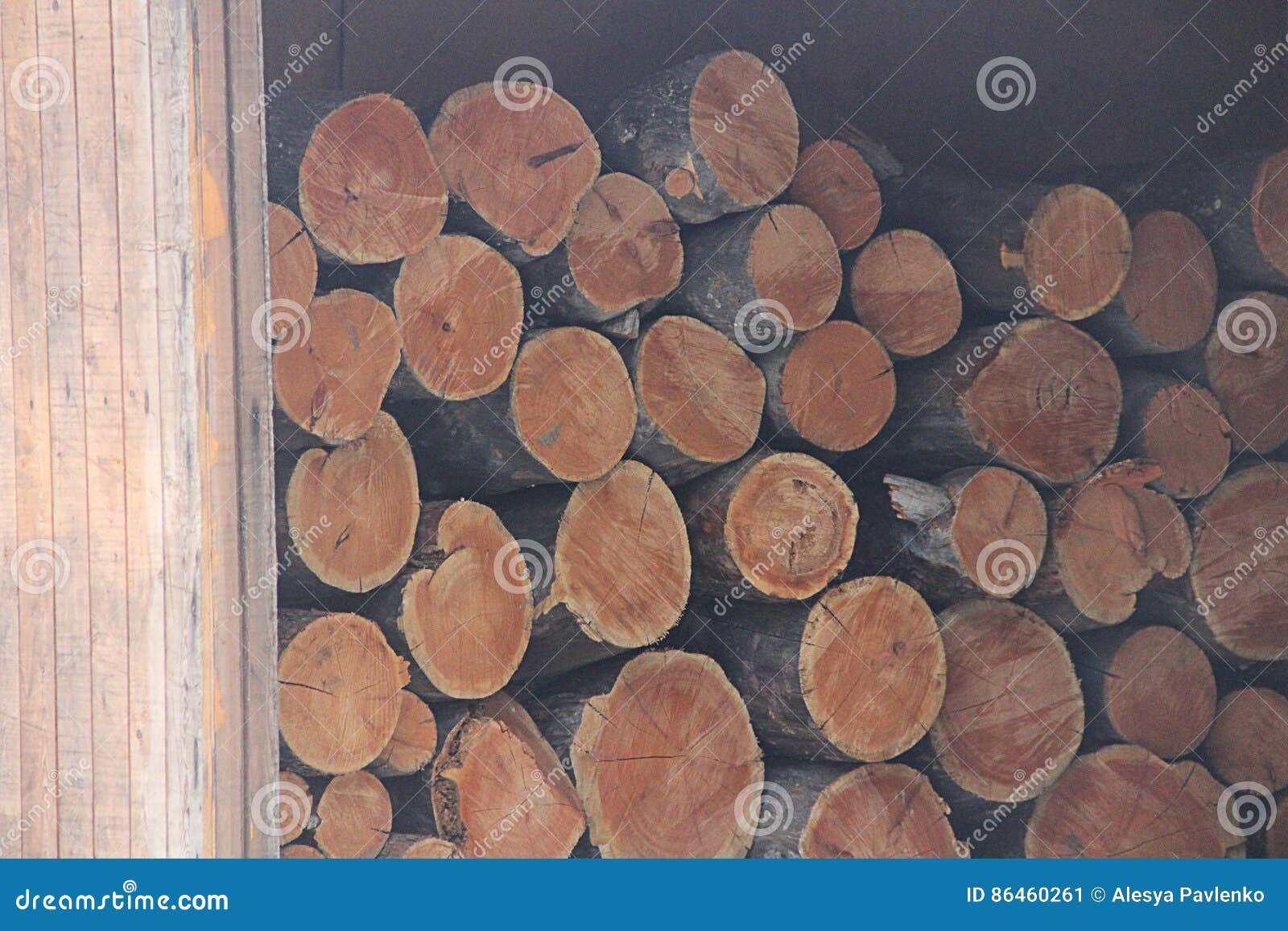 Many logs stock image. Image of logs, timber, round, stripes - 86460261