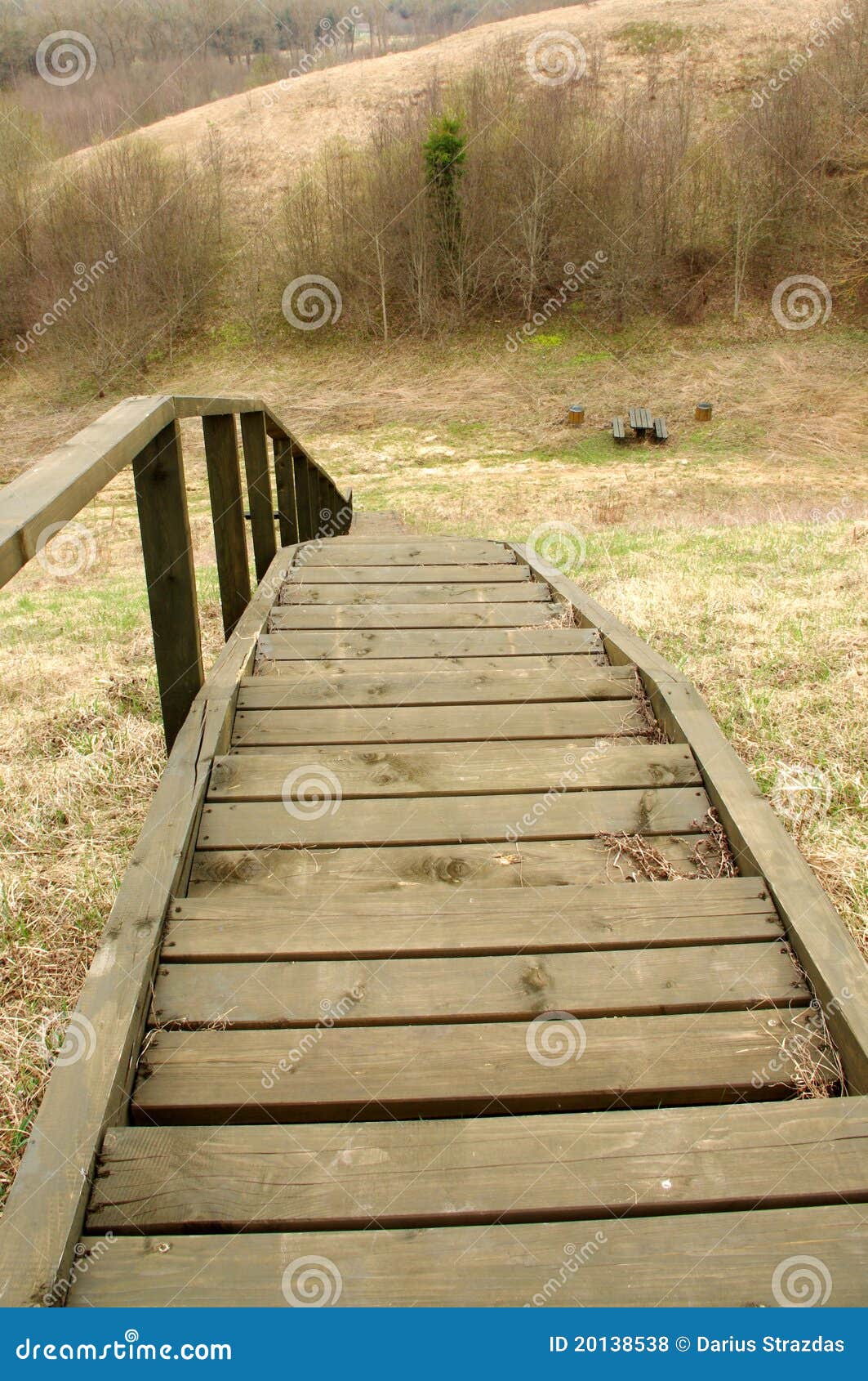 Many Long Wooden Stairs Down View Stock Photo - Image of branch, scene ...