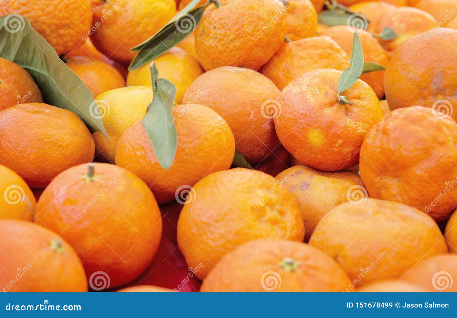 Lots of loose oranges stock image. Image of object, skin - 151678499