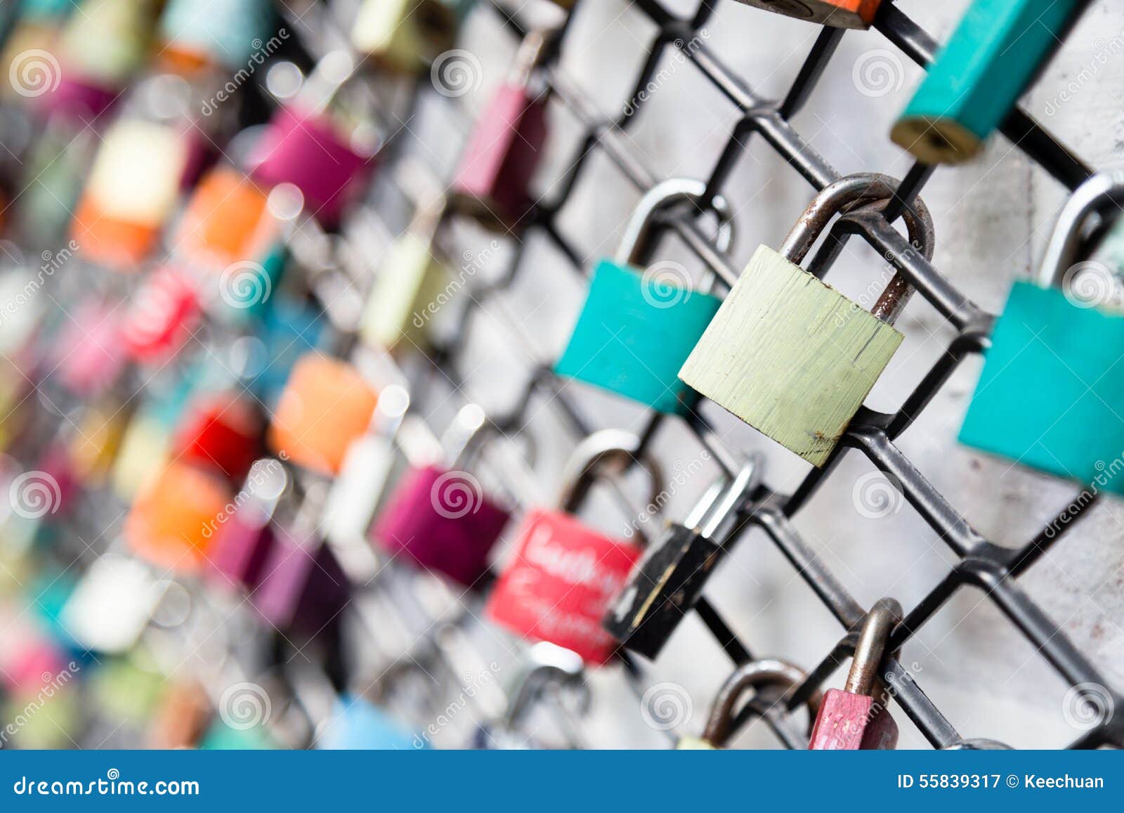 Many Love Padlocks on Fence Concept with Selective Focus on a Blank ...