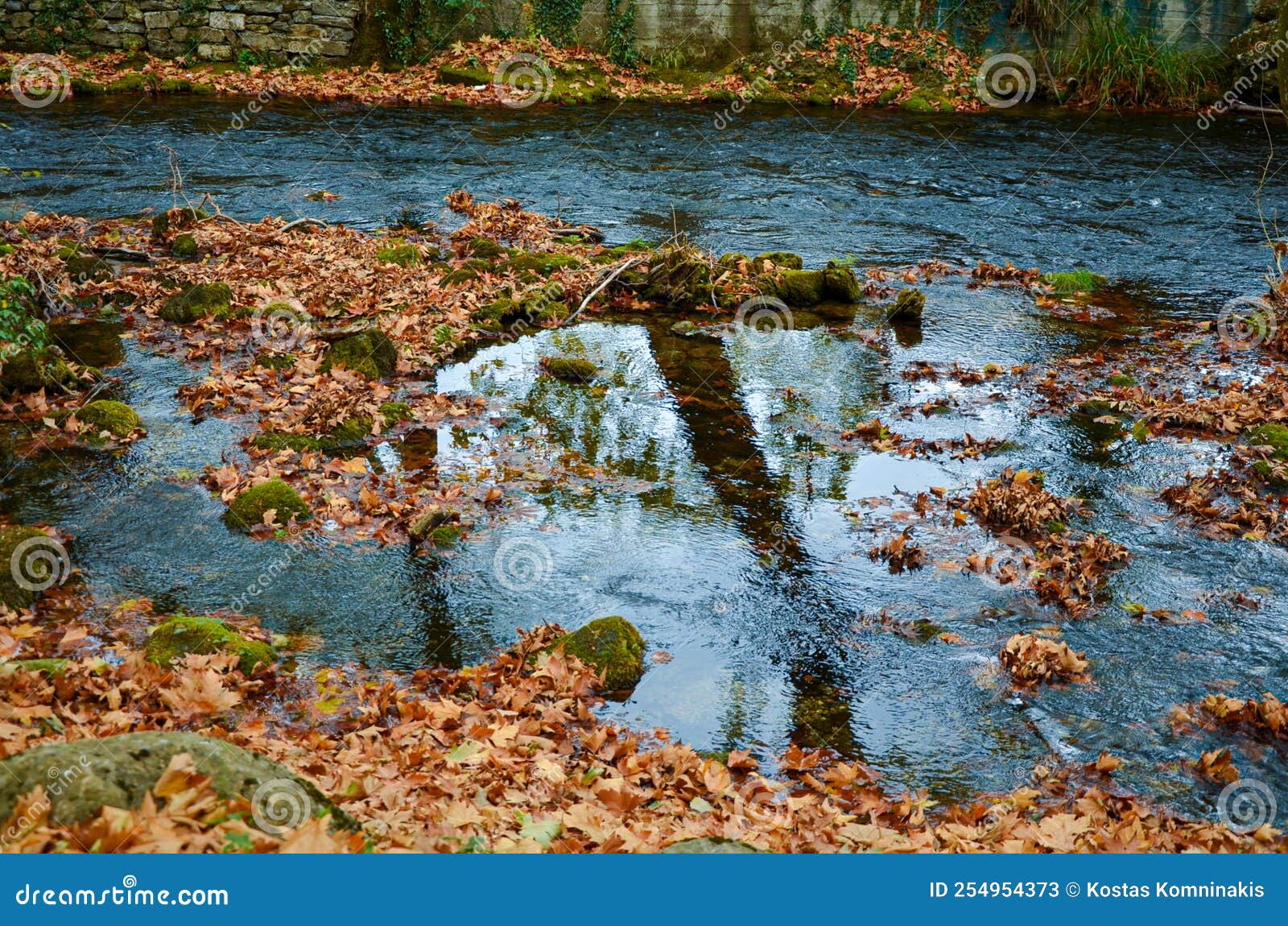 Many Many Leafs Inside the River Stock Image - Image of wetland ...