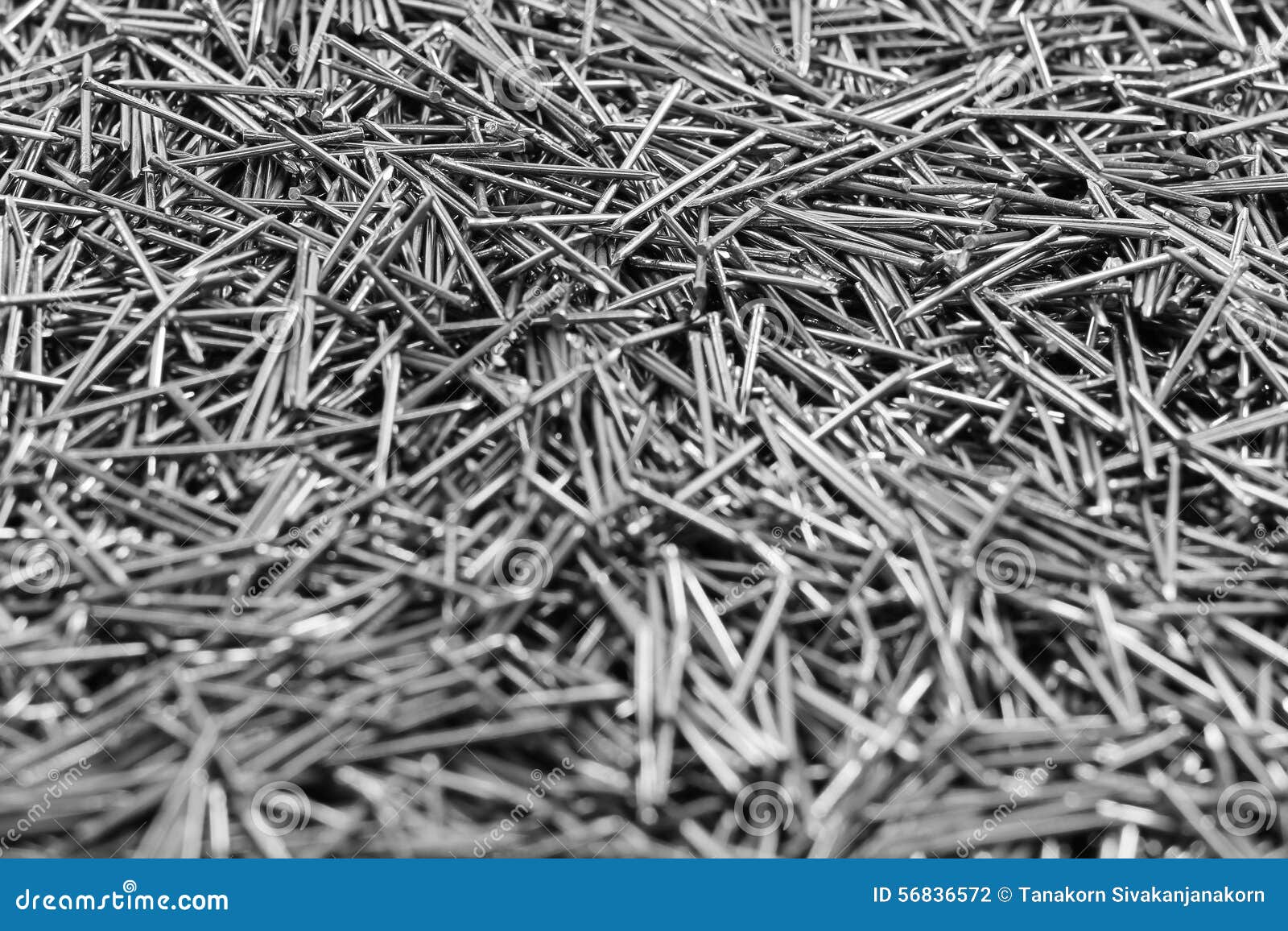 Many of Matal Nails 1 Inch Small Head Stock Photo - Image of gray, inch ...