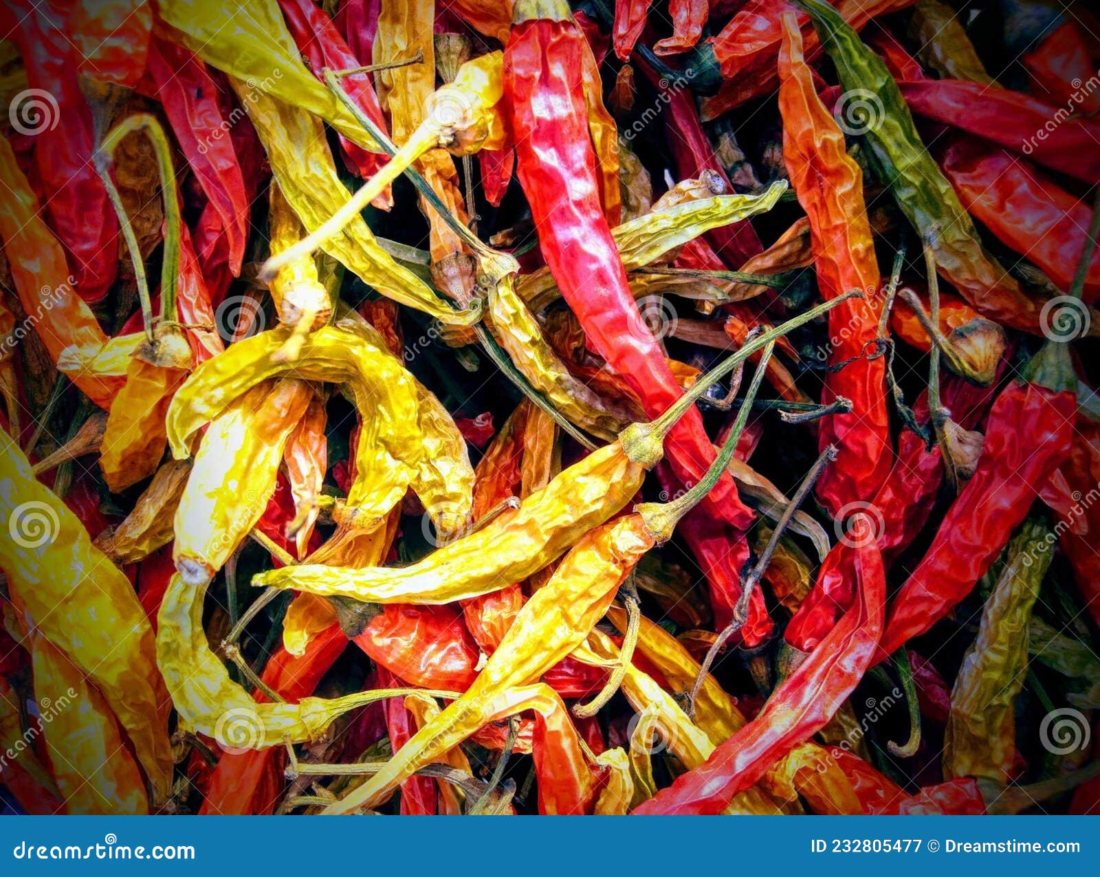 Many More Colours of Chilli Stock Image - Image of market, plant: 232805477