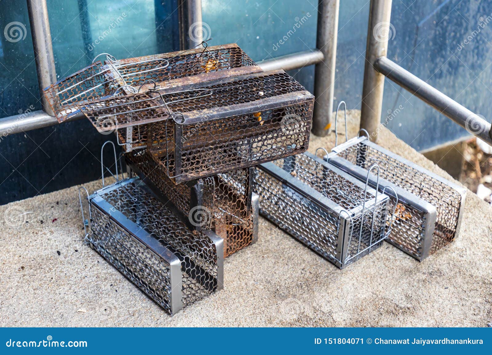 Many Mouse Trap Cage Put Together Both Old and New Prepare To Use ...
