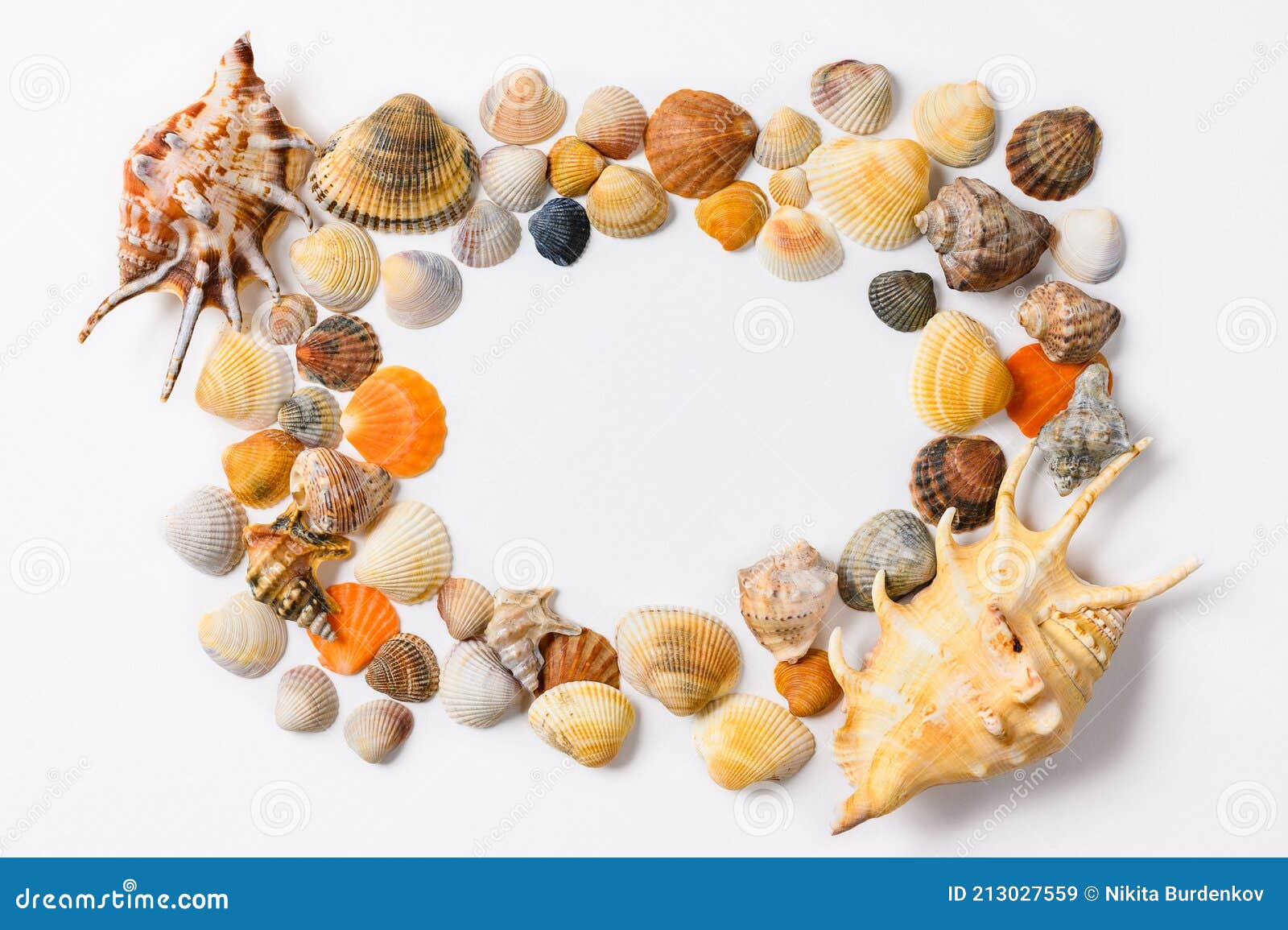 Many Multi-colored Small Seashells and Two Large Ones are Randomly ...