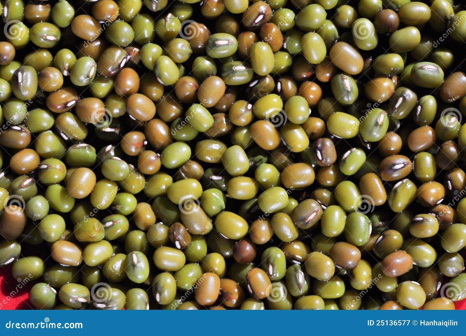 Many mung stock image. Image of mung, plant, bean, texture - 25136577