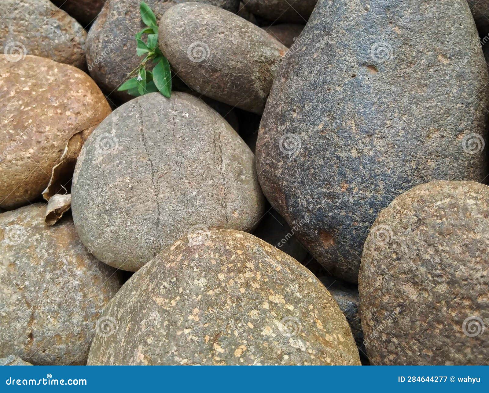Many Natural Rocks on the Banks of the River Stock Image - Image of ...