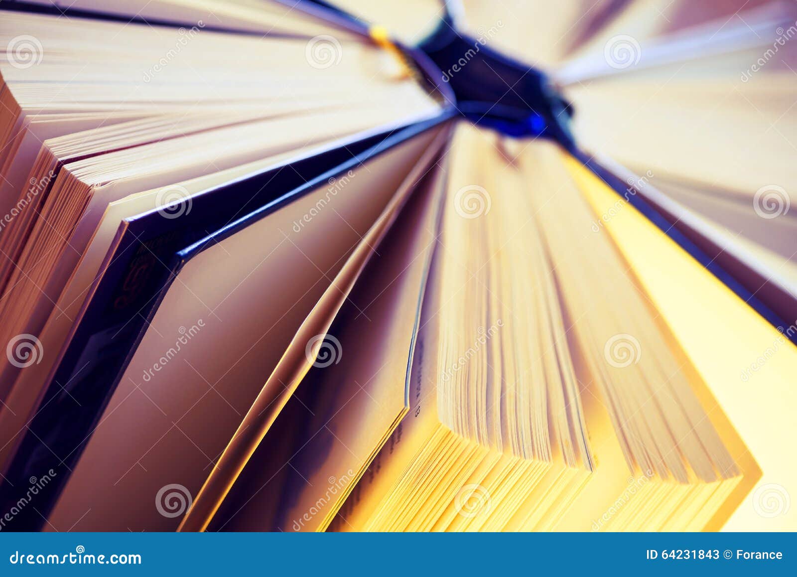 Many Opened Books in a Circle Stock Image - Image of library, isolated ...