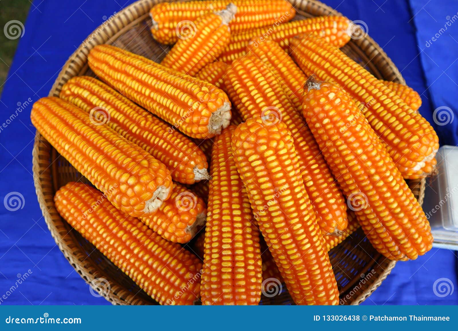 Corn stock photo. Image of orange, corn, basket - 133026438
