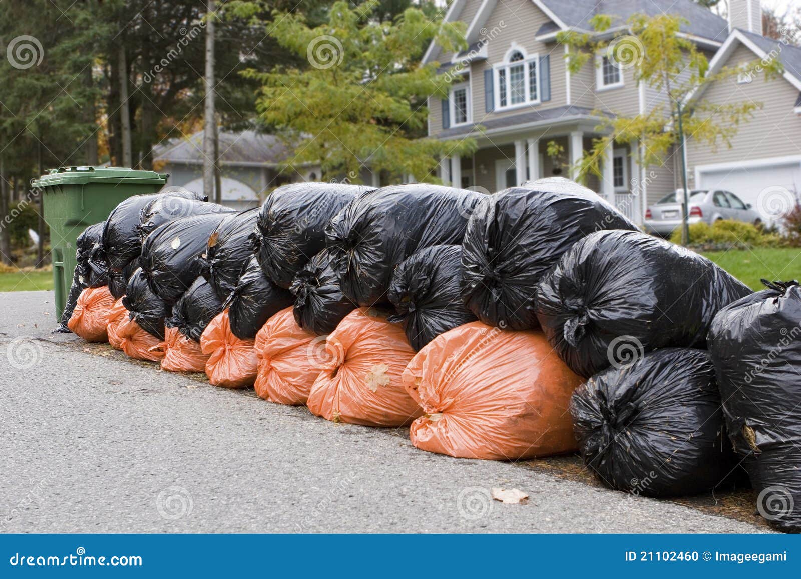 Green Garbage Waste Collection Dumpster, Problems Of Ecology Sorting ...