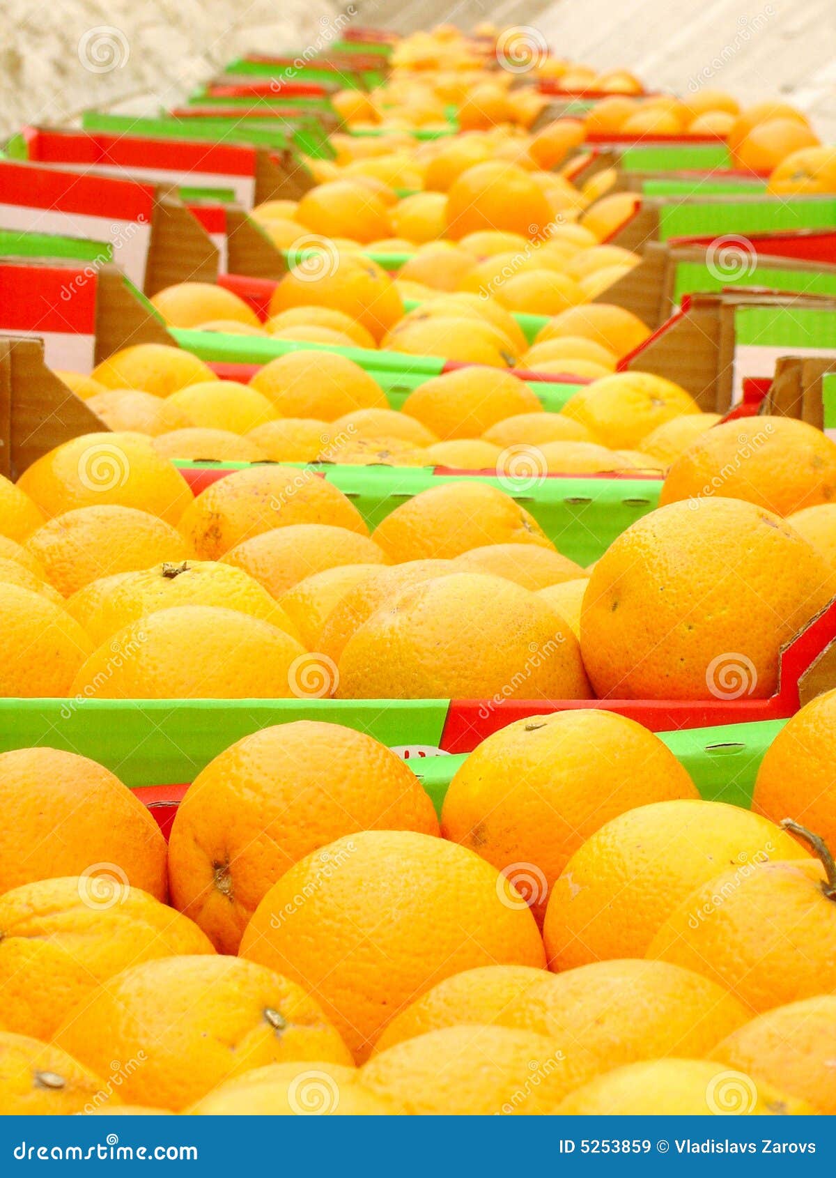 Many oranges stock image. Image of lifestyles, farm, arranging - 5253859
