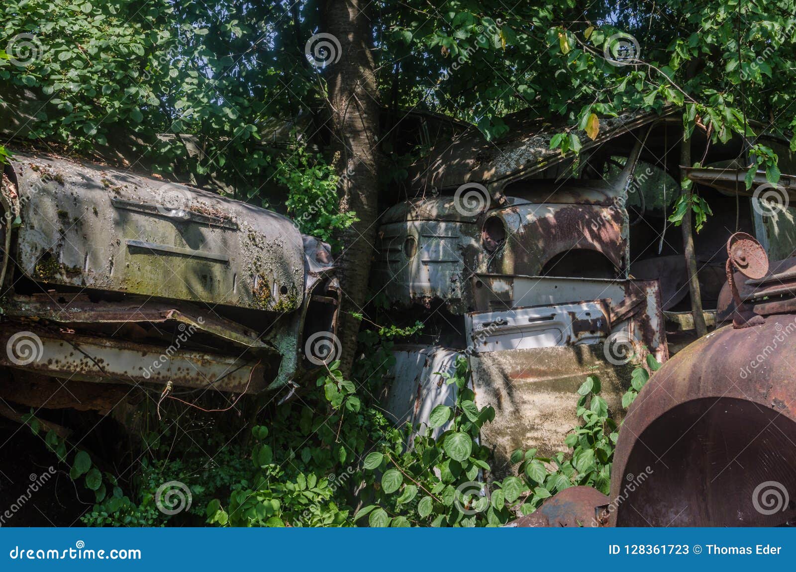 Many Overgrown Cars in a Forest Stock Image - Image of industry ...