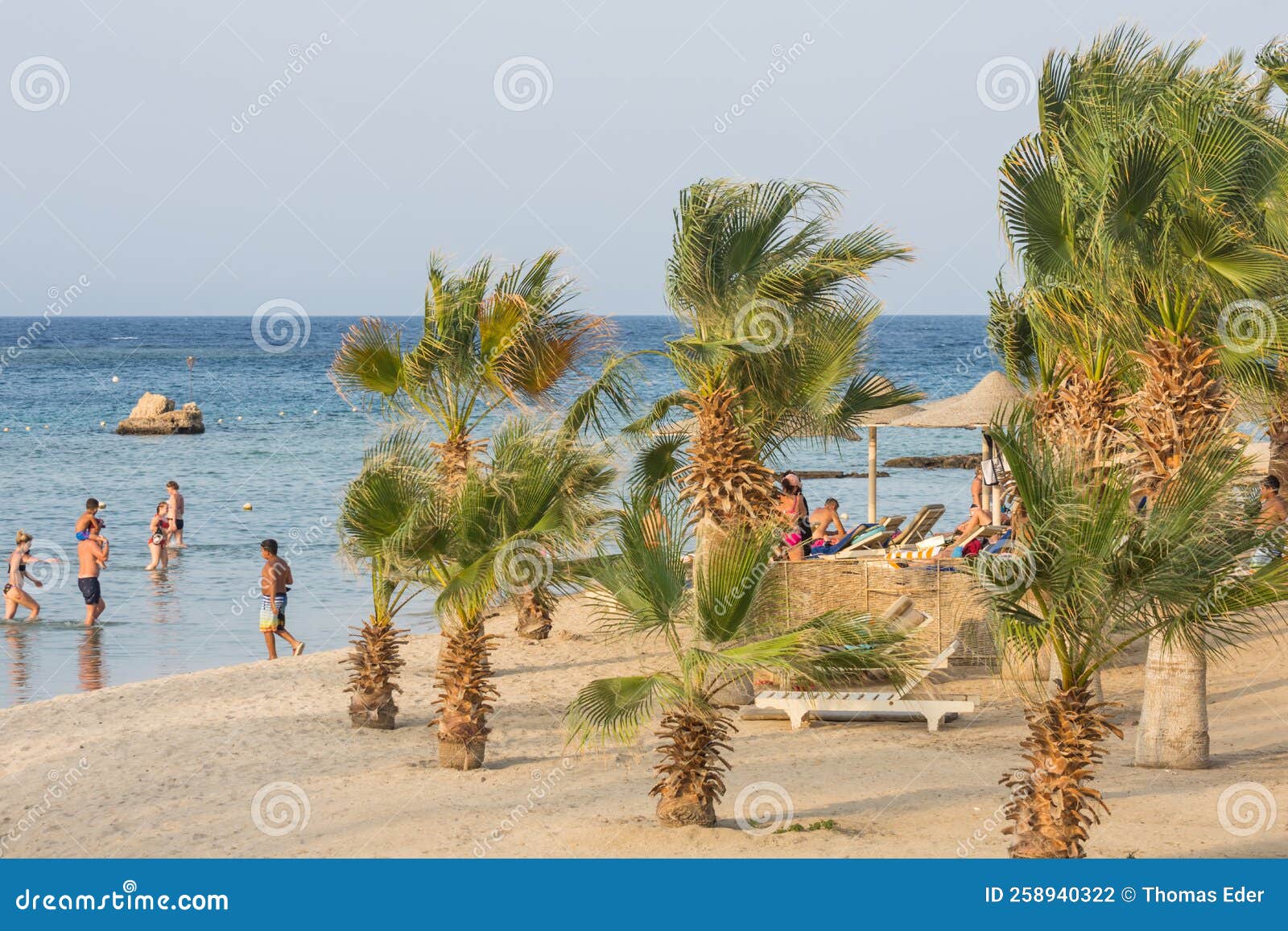 Many Palm Trees and People at the Sandy Beach on the Sea Editorial ...