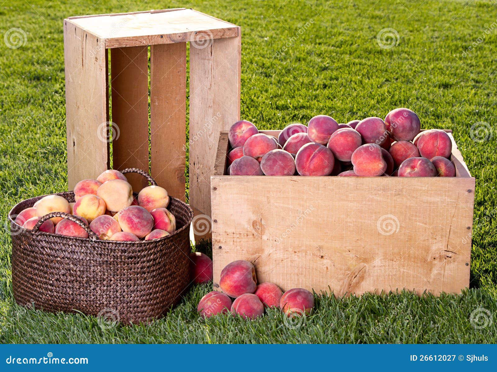Many Peaches in Wooden Crate and Basket Stock Image - Image of ...