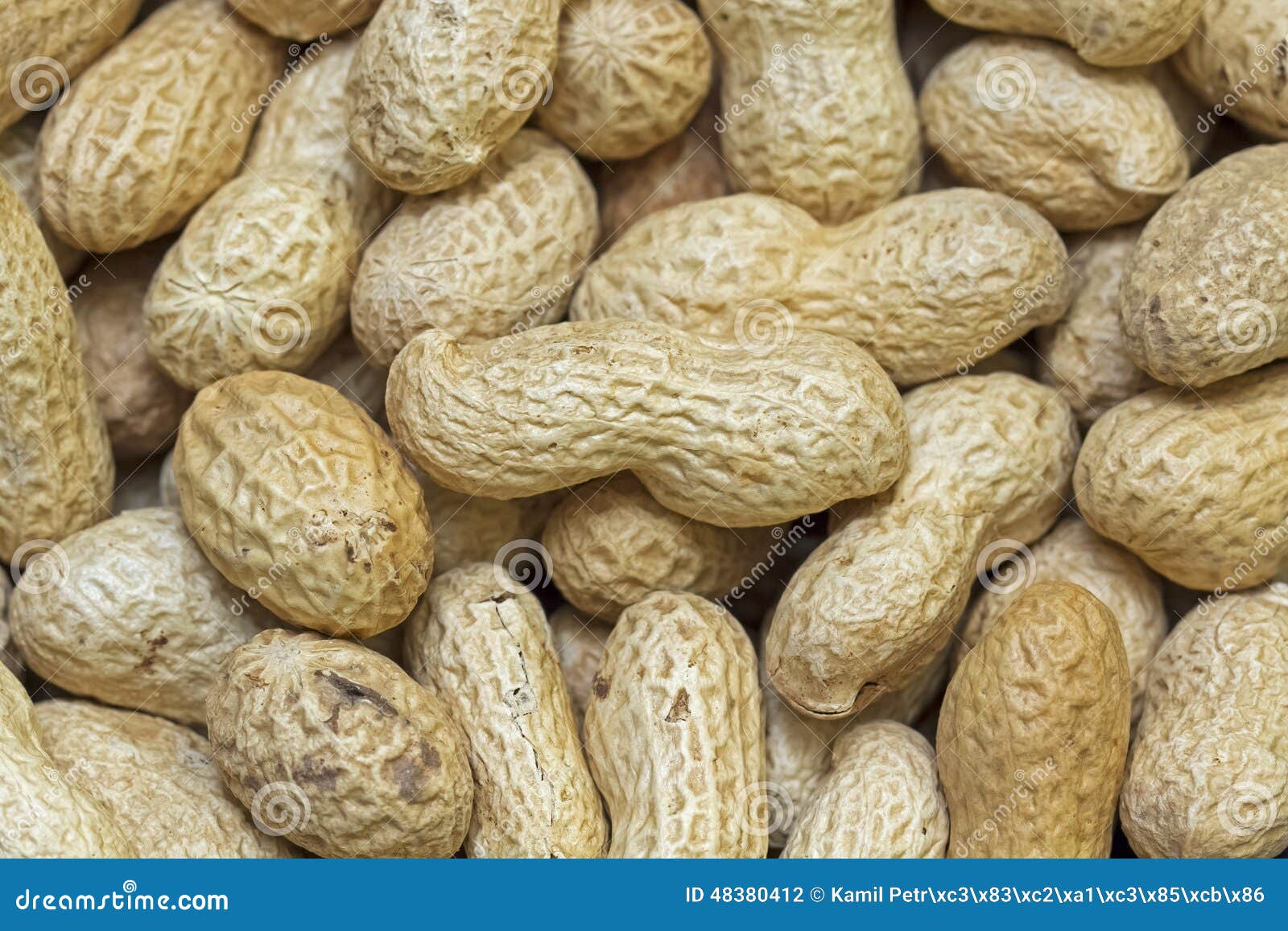 Many peanuts in shells stock photo. Image of nutshell - 48380412