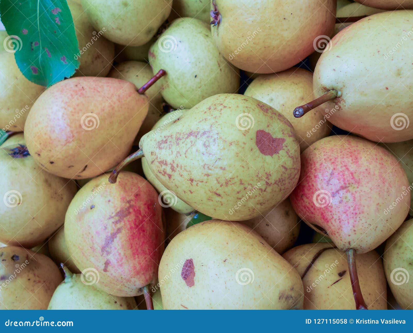 Pear Texture: Lots of Pears Collected in a Bowl Stock Photo - Image of ...