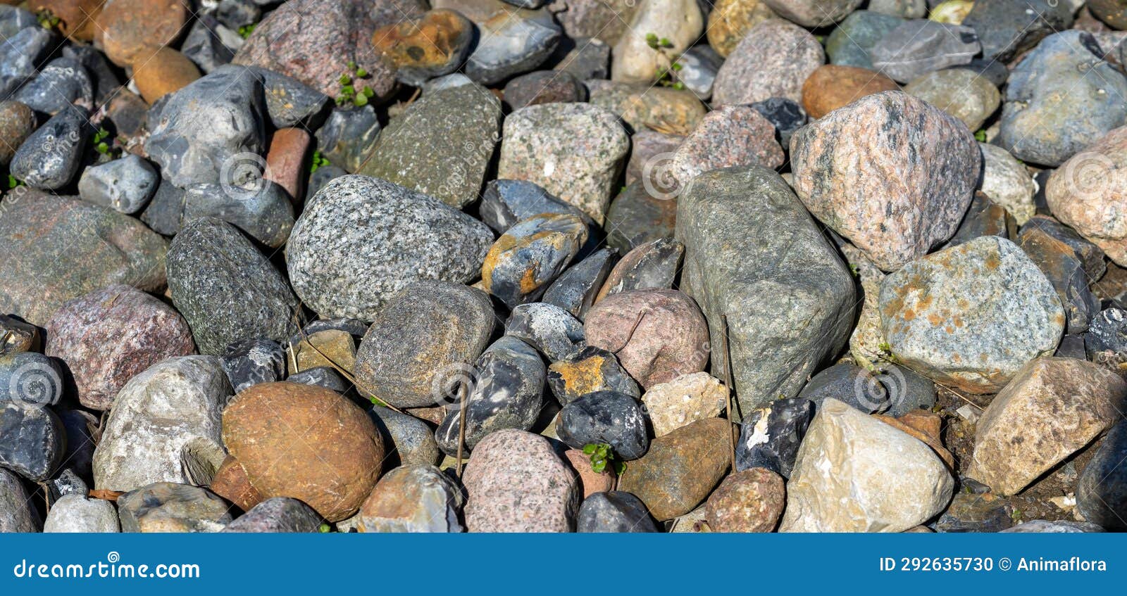 Many Pebbles Stone Texture Background Stock Photo - Image of stones ...