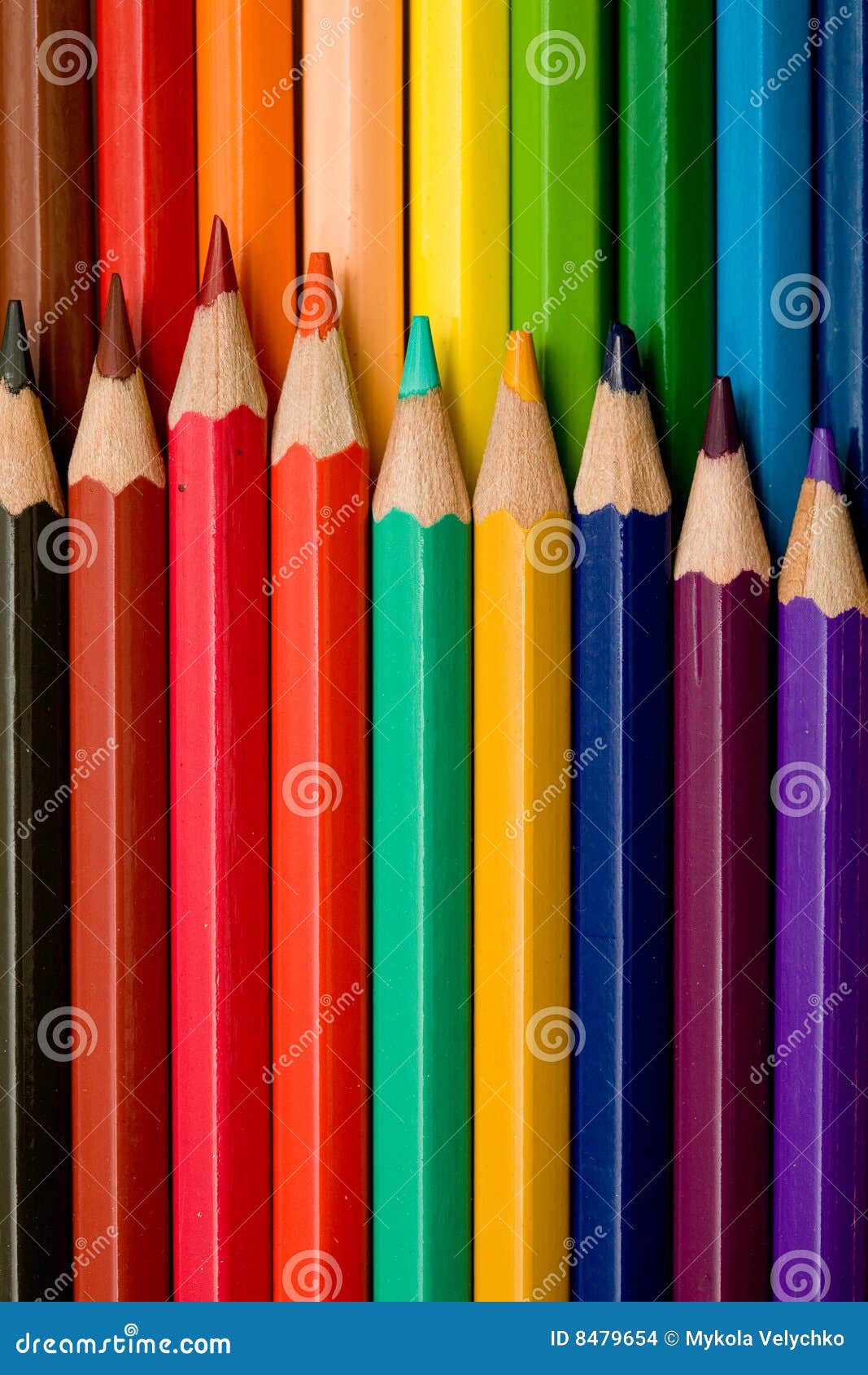 Many pencils stock photo. Image of macro, multi, bright - 8479654