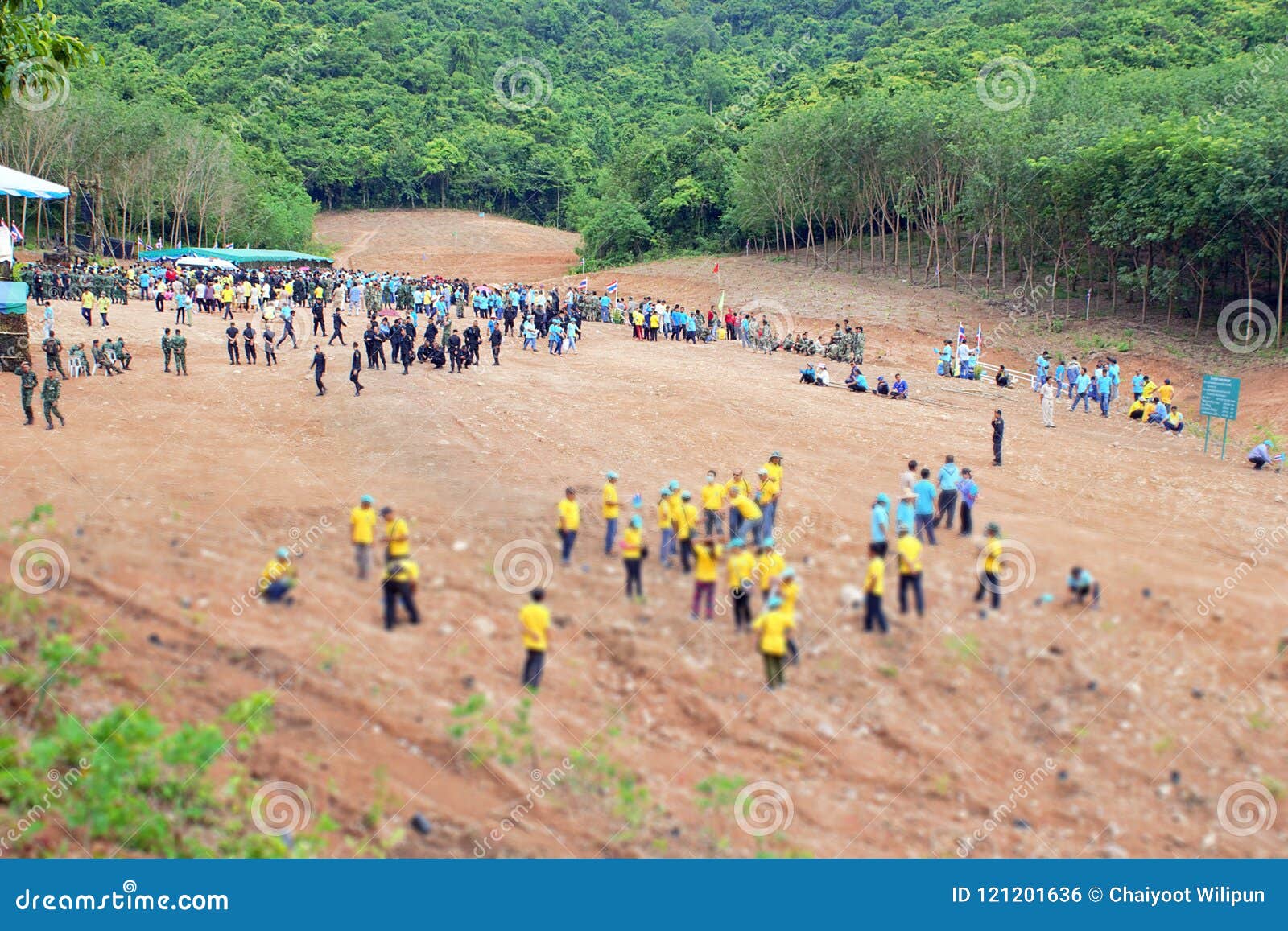 Many People in the Tree Planting Forest Background Editorial Photo ...