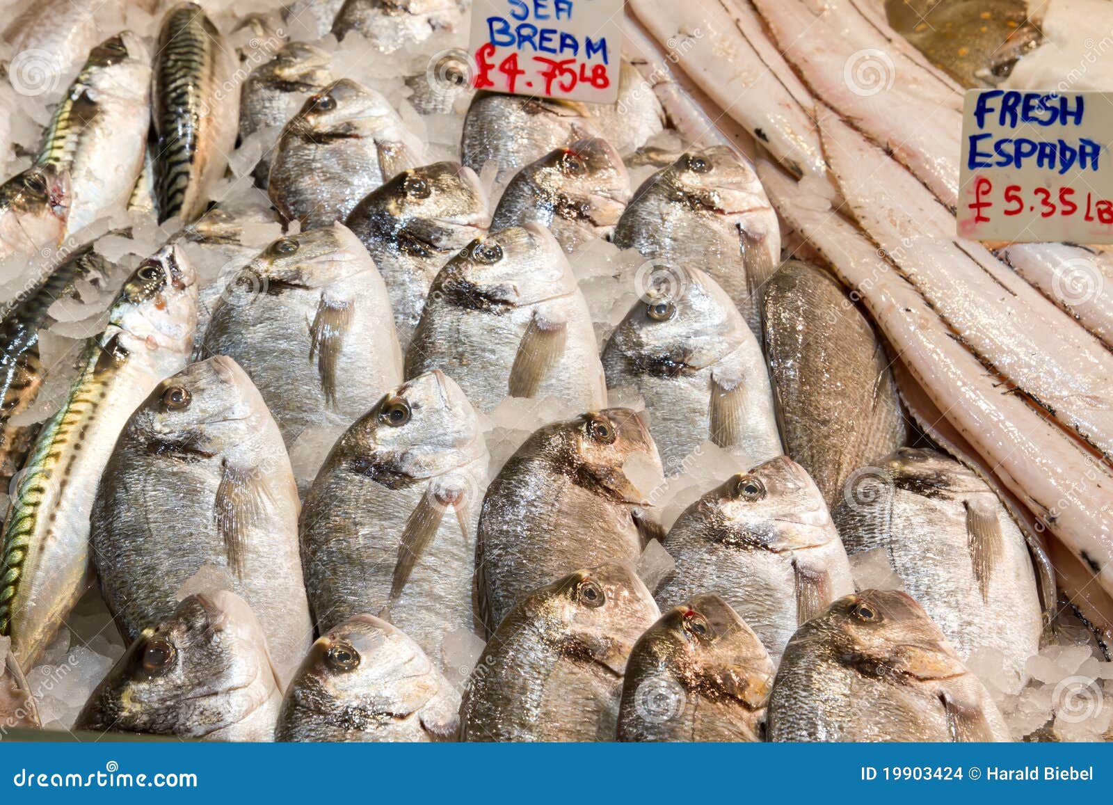 Many Pieces of Fresh Sea Bream Stock Photo - Image of salt, ocean: 19903424