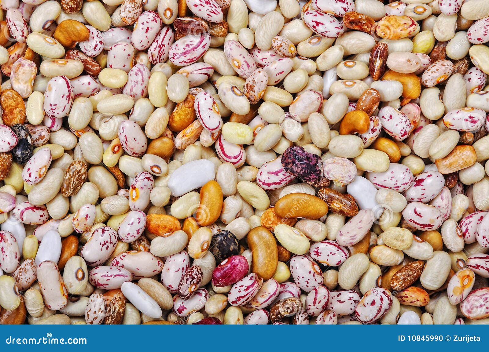 Many Pieces and Many Kind of Beans Stock Photo - Image of dehydrated ...