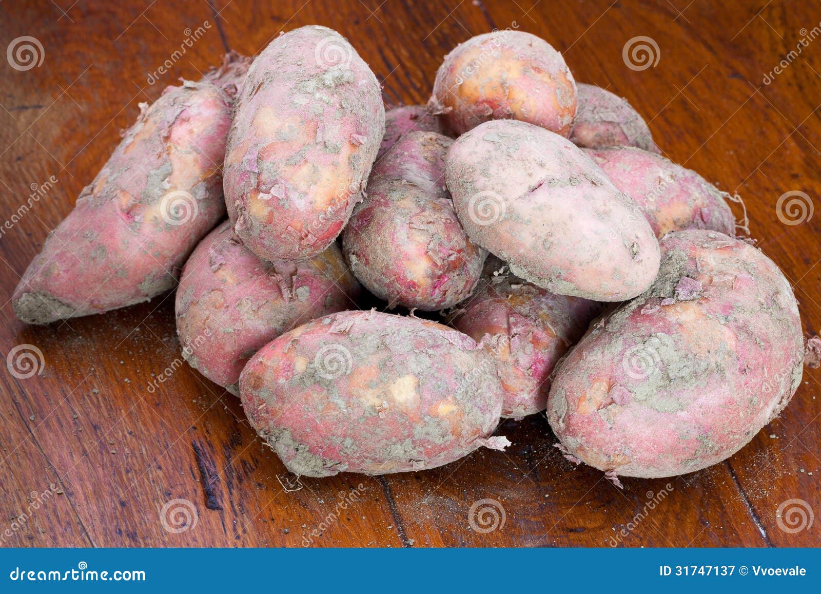 Many pink raw potatoes stock image. Image of vegetable - 31747137