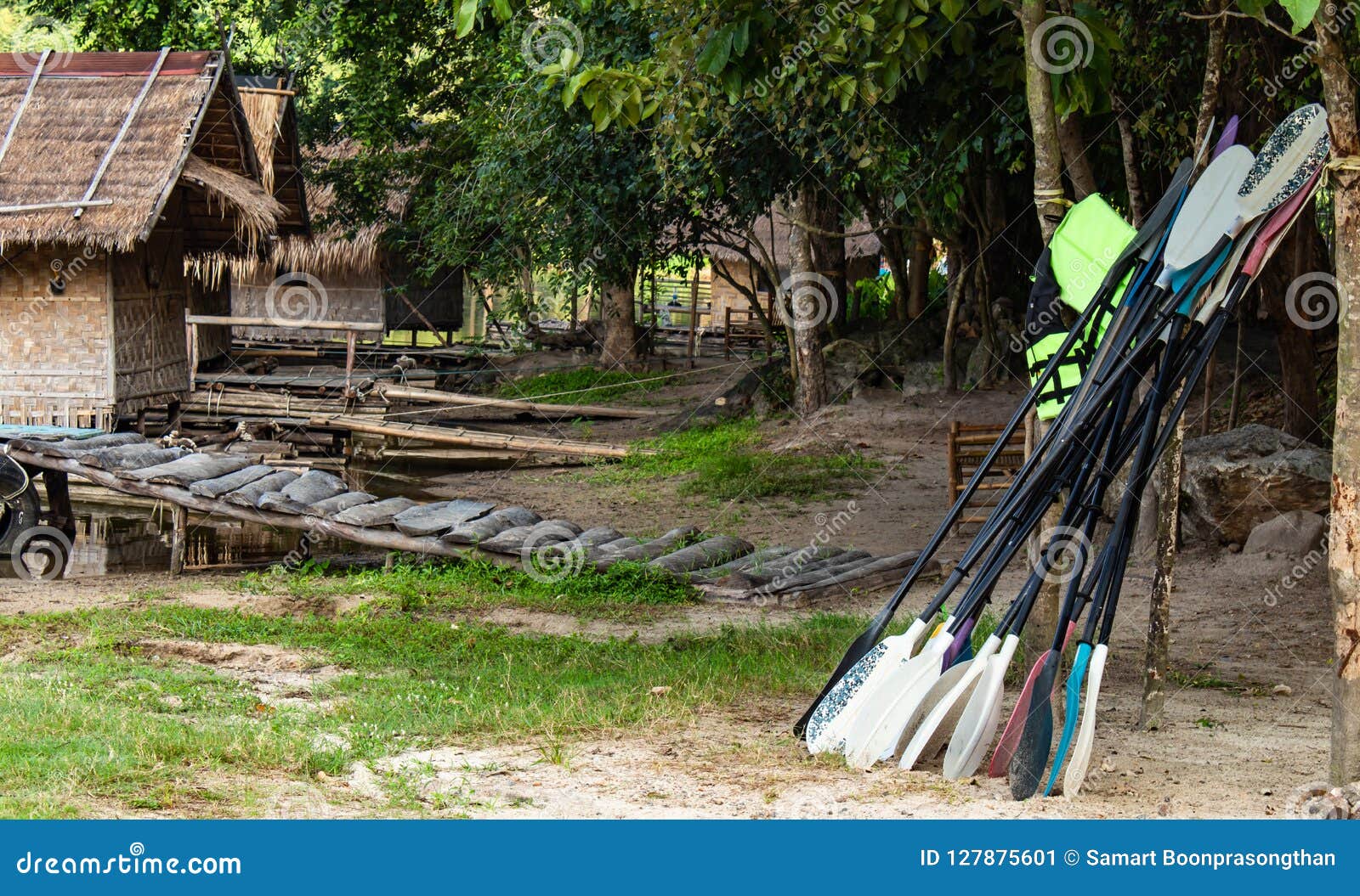 Many Place the Paddle Side of the Trees on the Ground. Stock Image ...