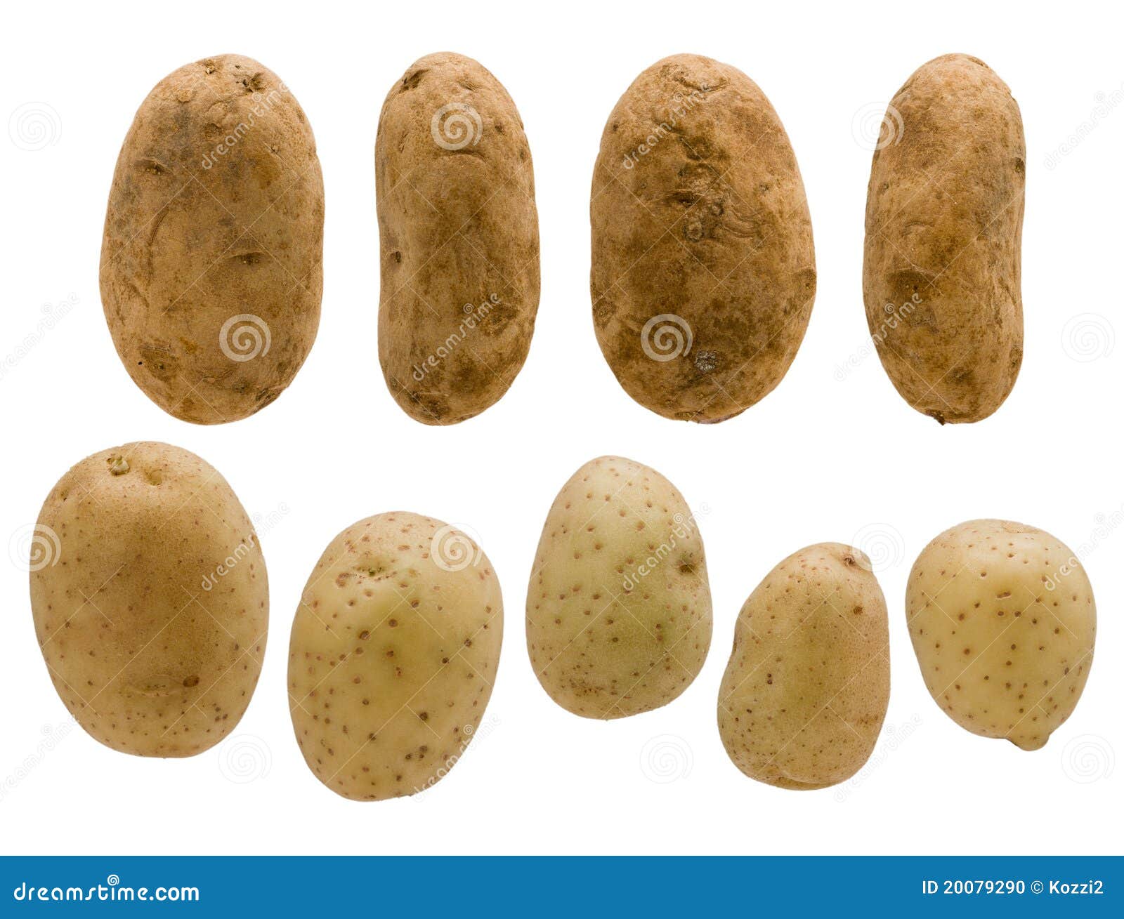 Many Potatoes stock photo. Image of healthy, health, plants - 20079290