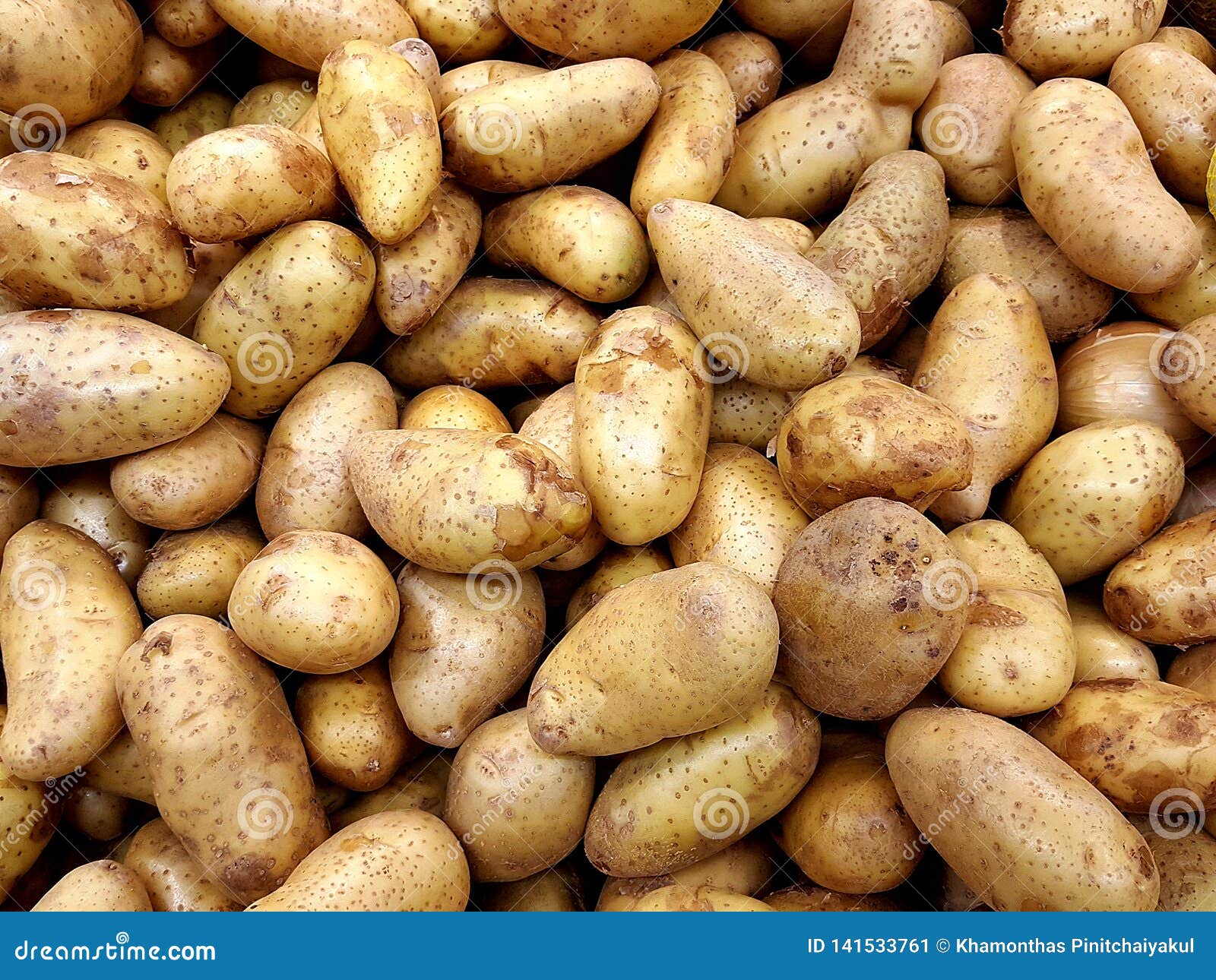 Many Potatoes On One Spot. Healthy Food Vegetables Royalty-Free Stock ...