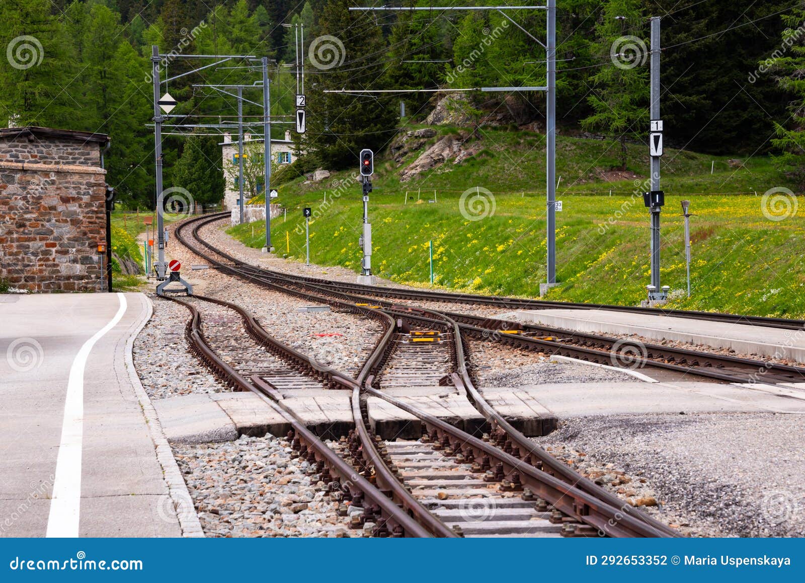 Many Railroad Tracks in Summer Stock Photo - Image of train, travel ...