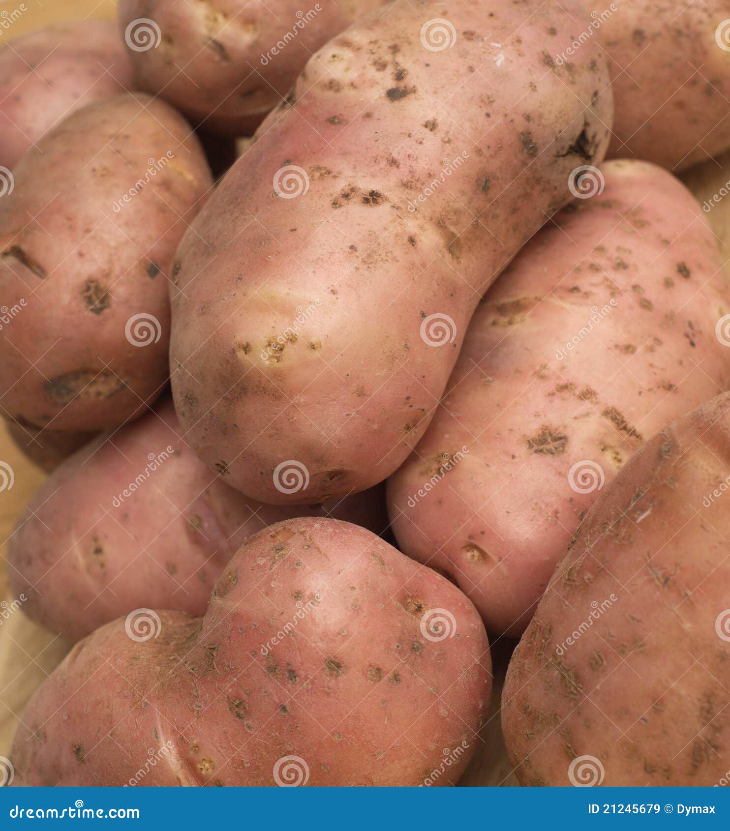 Many Raw Red Potatoes Closeup Stock Image - Image of still, objects ...