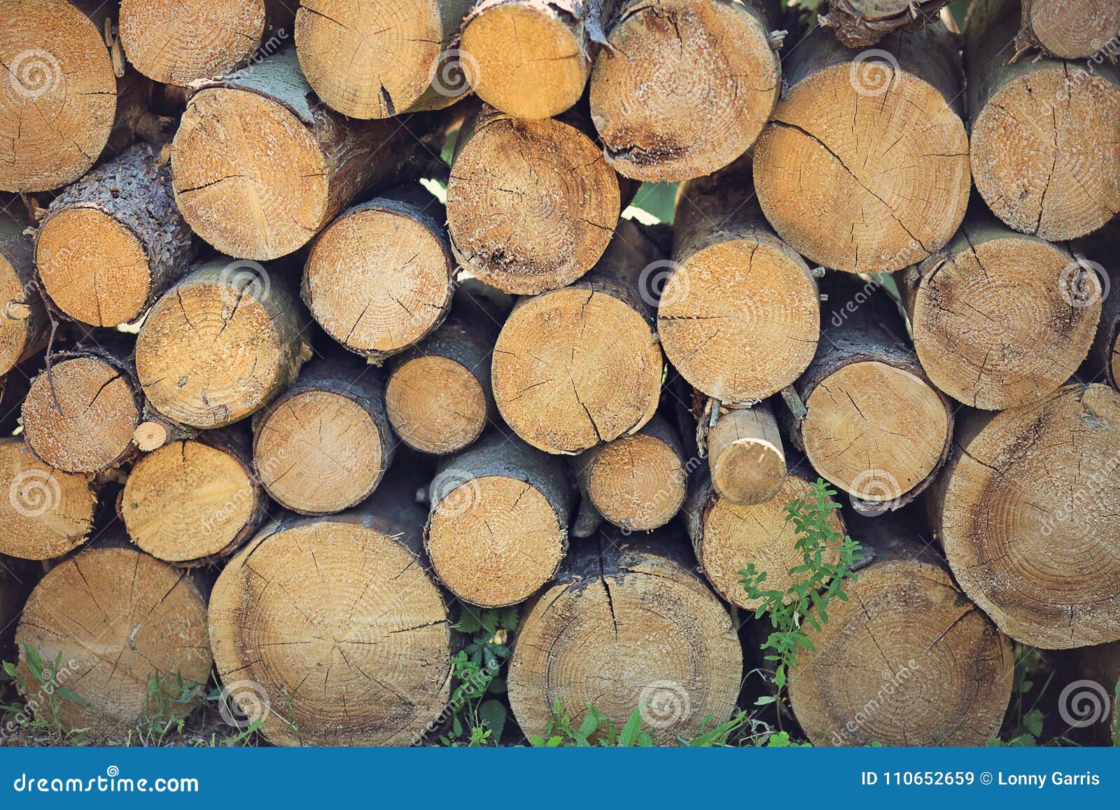Stacked logs background stock image. Image of wall, timber - 110652659