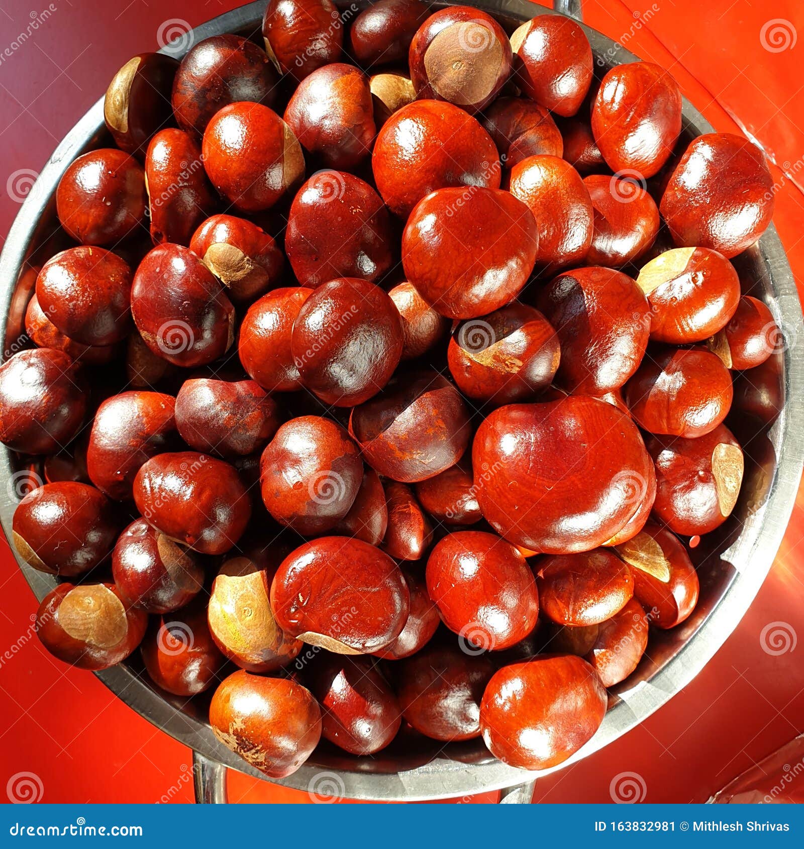 Many Red Chestnuts on Isolated Red Background. Castanea. Stock Image ...