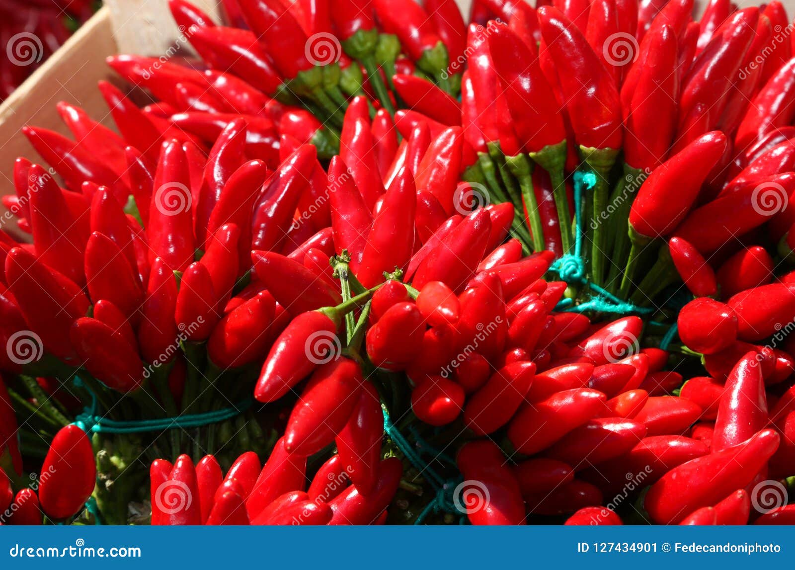 Many Red Chilies Very Hot for Sale Stock Image - Image of city ...