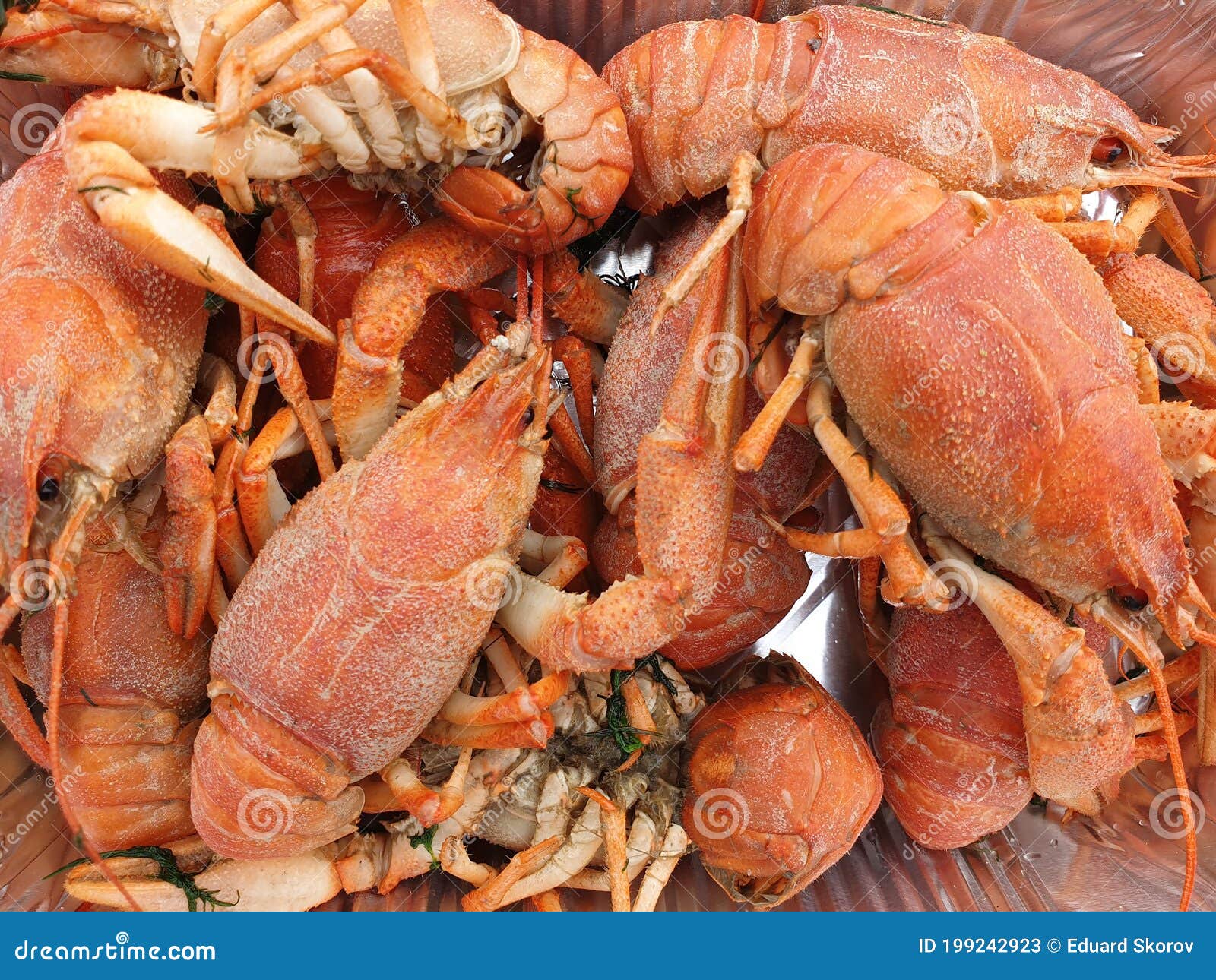 Many Red Crawfish Close-up, Blank or Texture Stock Image - Image of ...